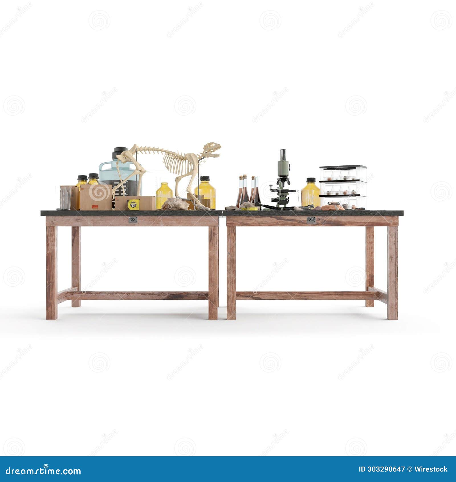 Science Table with a Variety of Materials for Use with a Microscope ...