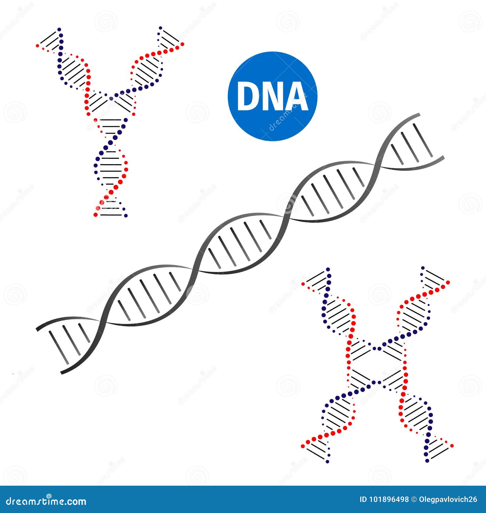 Vector DNA illustration stock vector. Illustration of microbiology ...