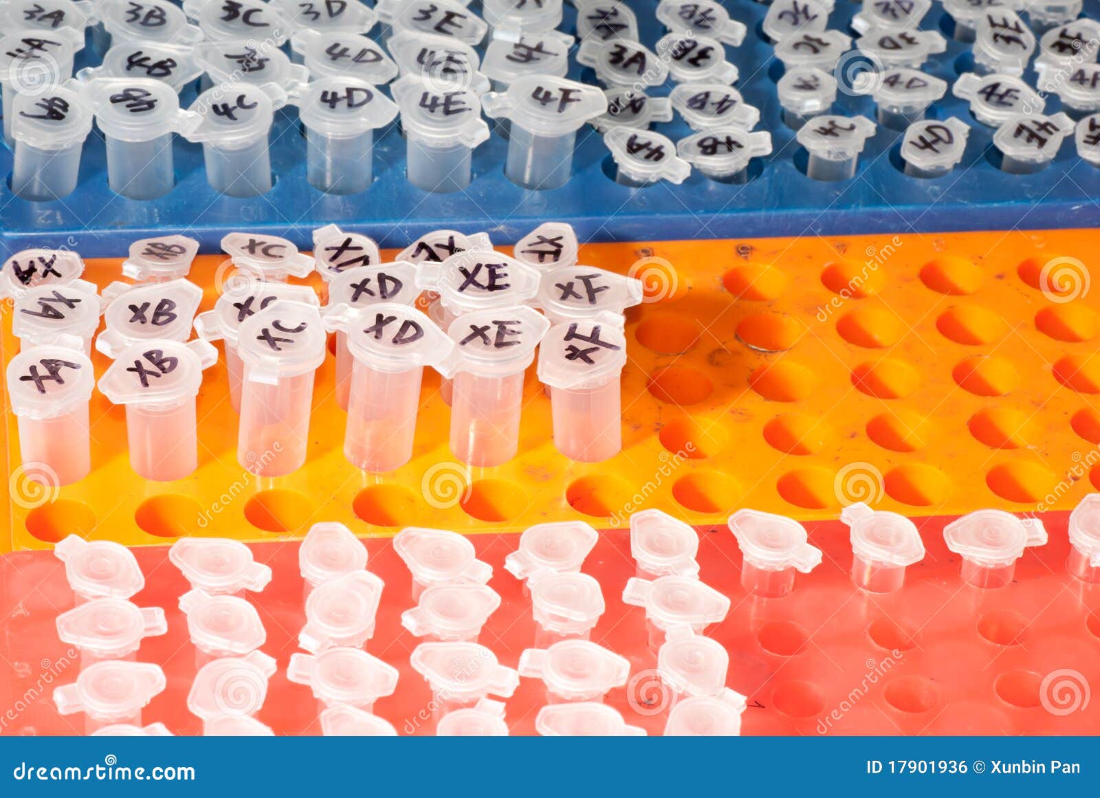 The Centrifuge Tube And Micro Tube In The Laboratory Royalty-Free Stock ...