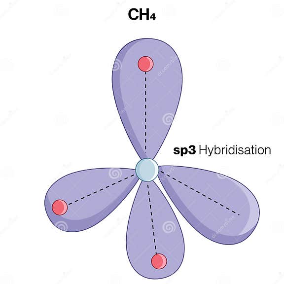 Sp3 Hybridization Illustrated Molecular Structure on White Background ...
