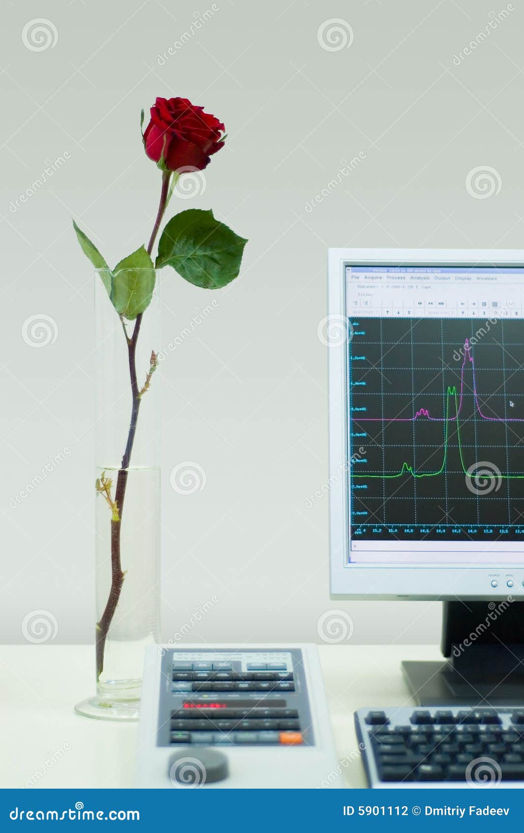 Science versus Nature. stock photo. Image of rose, technology - 5901112