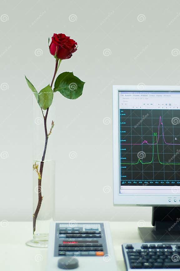 Science versus Nature. stock photo. Image of rose, technology - 5901112