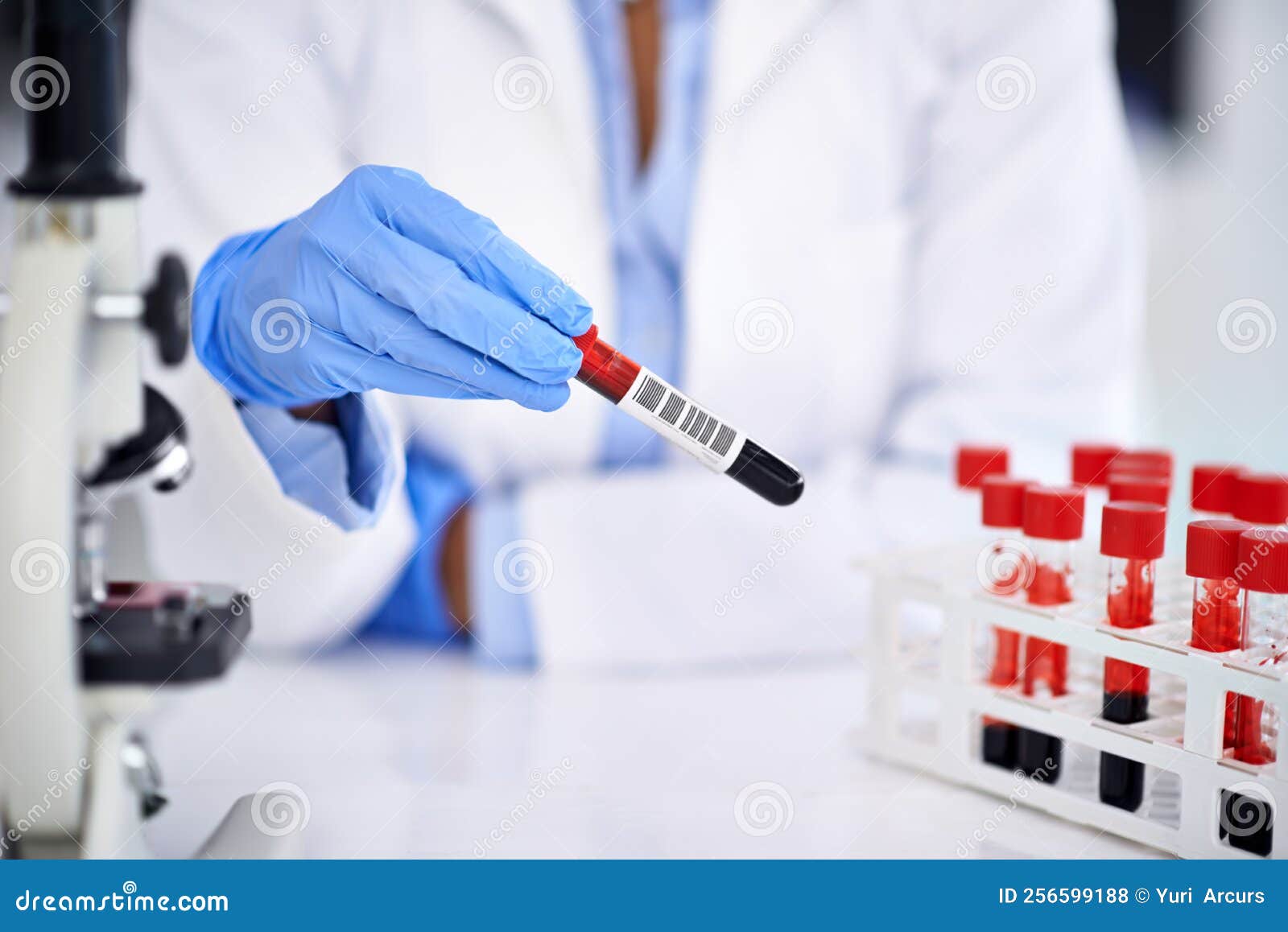 Science at Work. a Scientist Working with Blood Samples in Her Lab ...