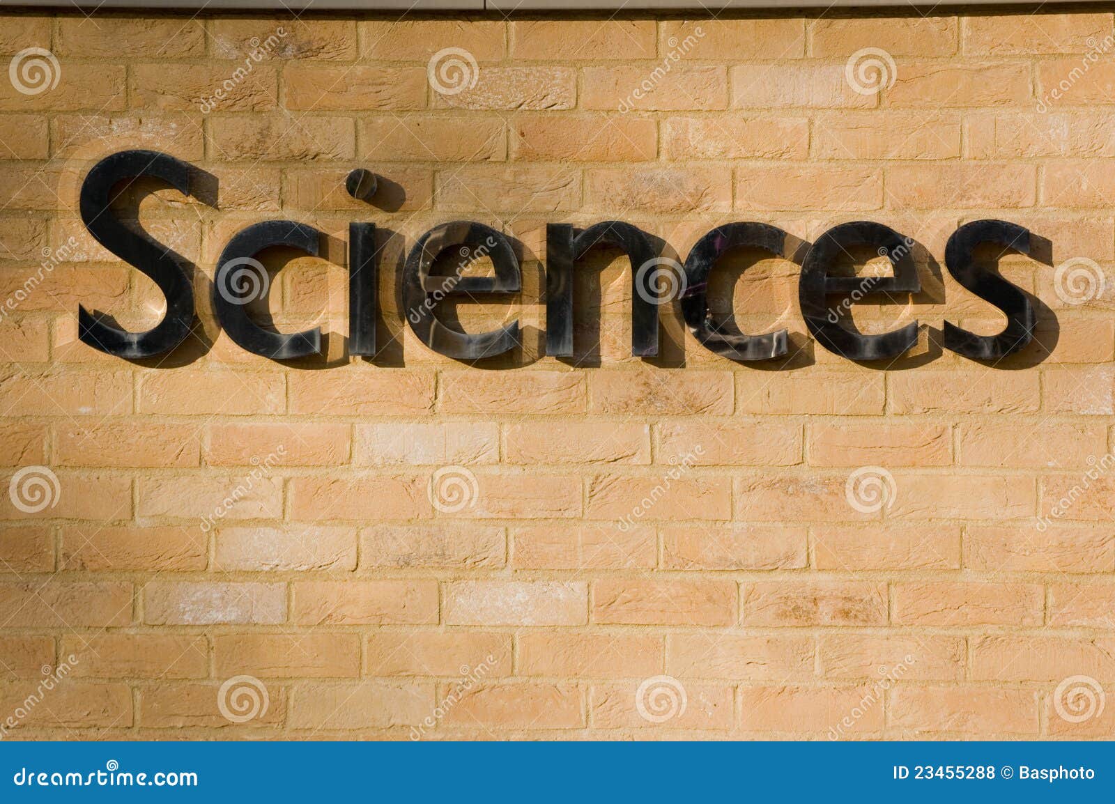 Sciences Sign on a Brick Wall Stock Photo - Image of physics, wall ...