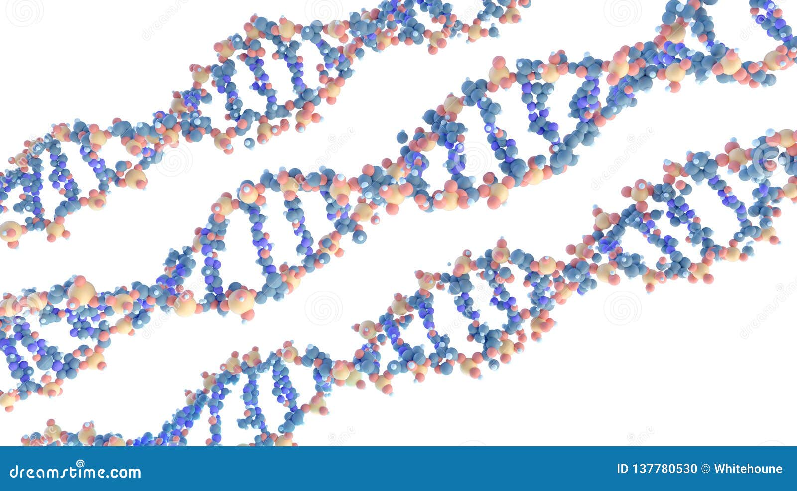 Scientific 3D Models of DNA Spiral Molecules on White Stock ...