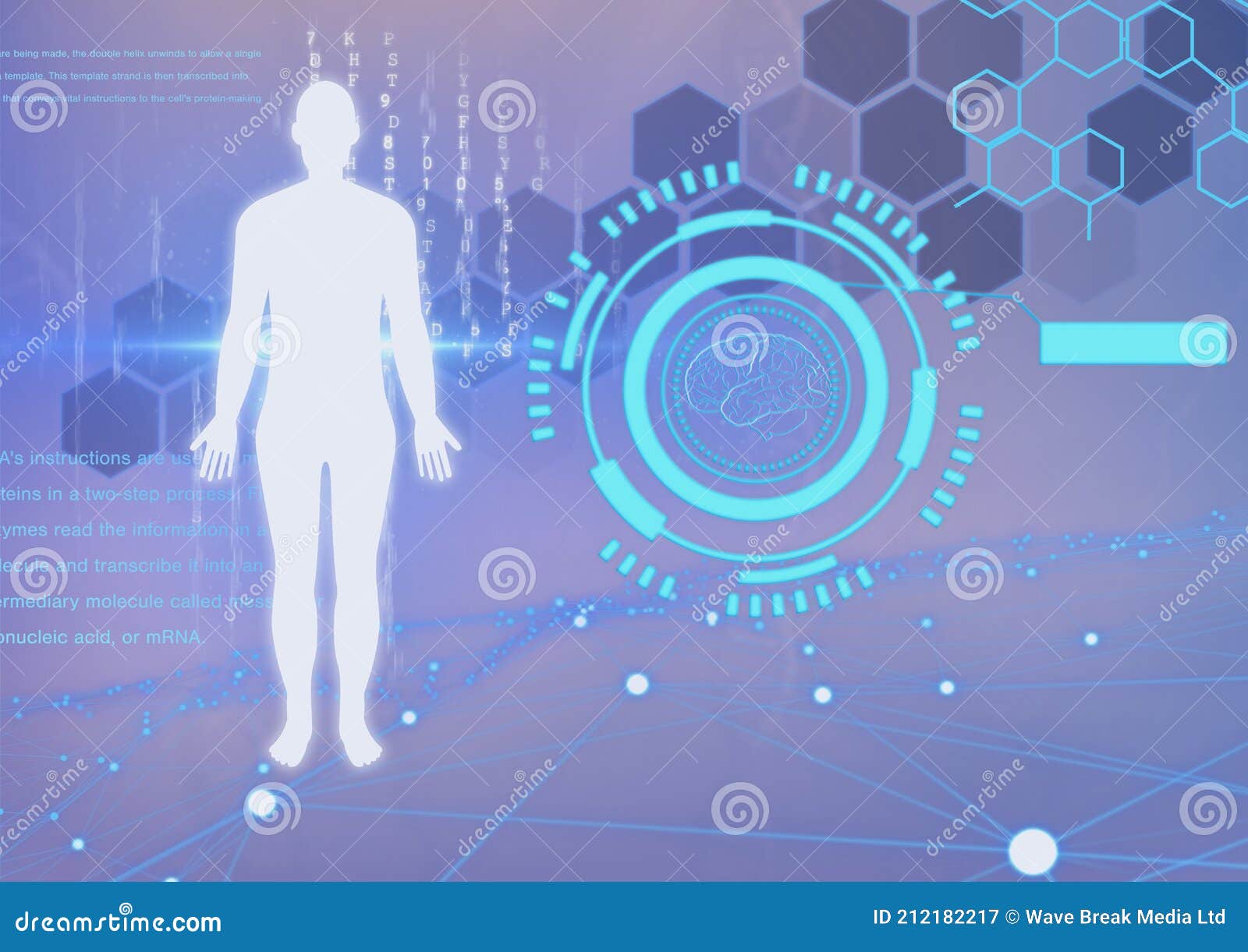 Scientific Human Sports Performance Assessment Machine Stock Photo ...