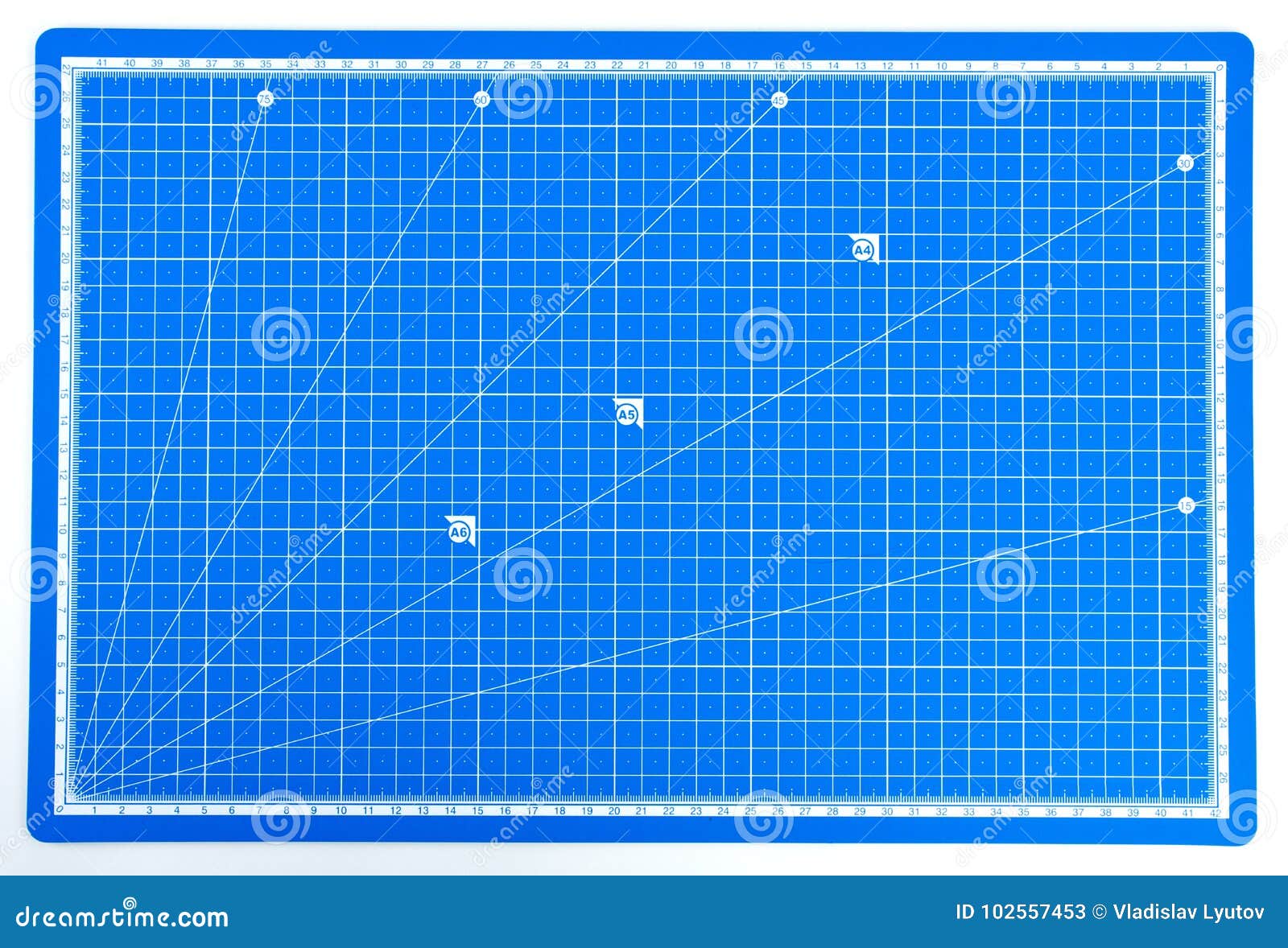 Scientific Engineering Grid Paper with Scale. Stock Image - Image of ...