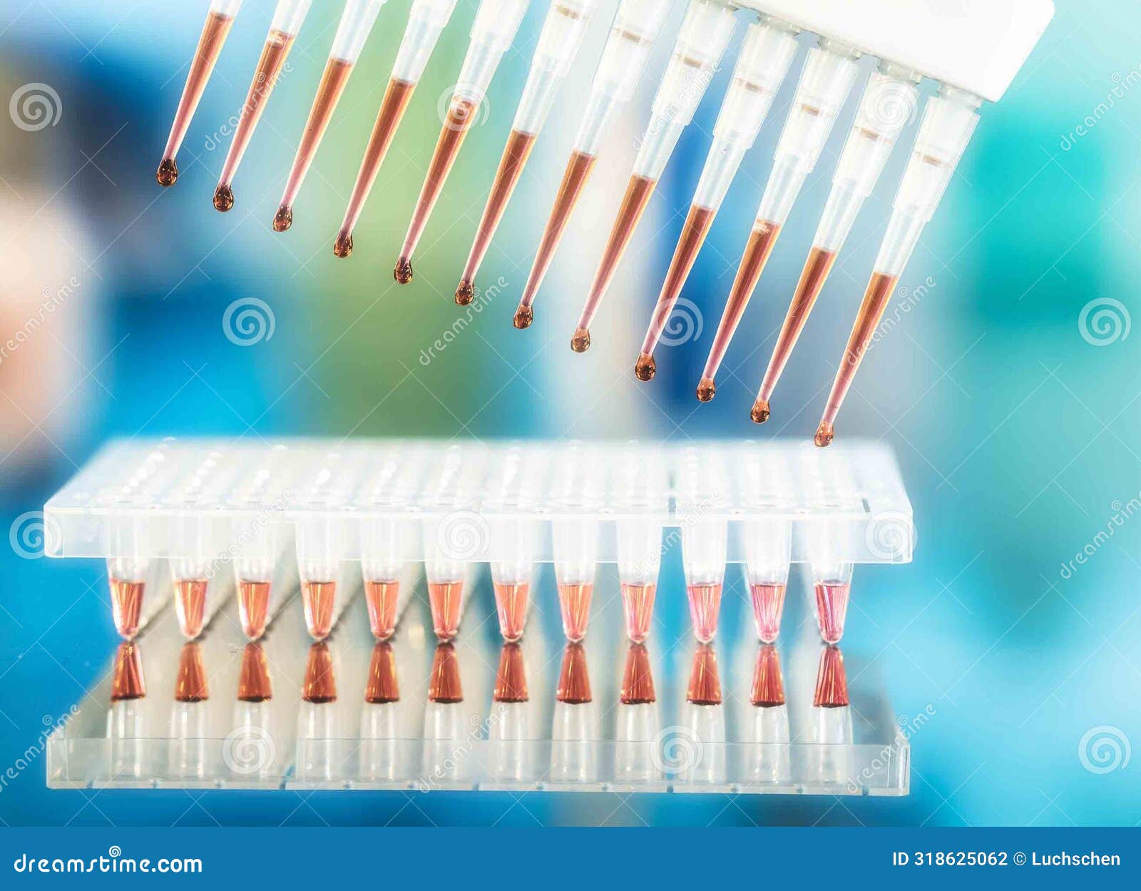 Scientific Experiment in an Indoor Laboratory Stock Photo - Image of ...