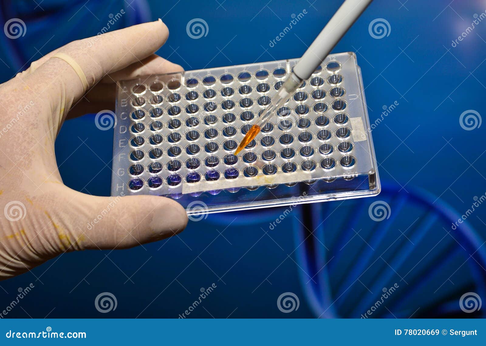 Scientific Experiment in the Laboratory. Stock Image - Image of hand ...
