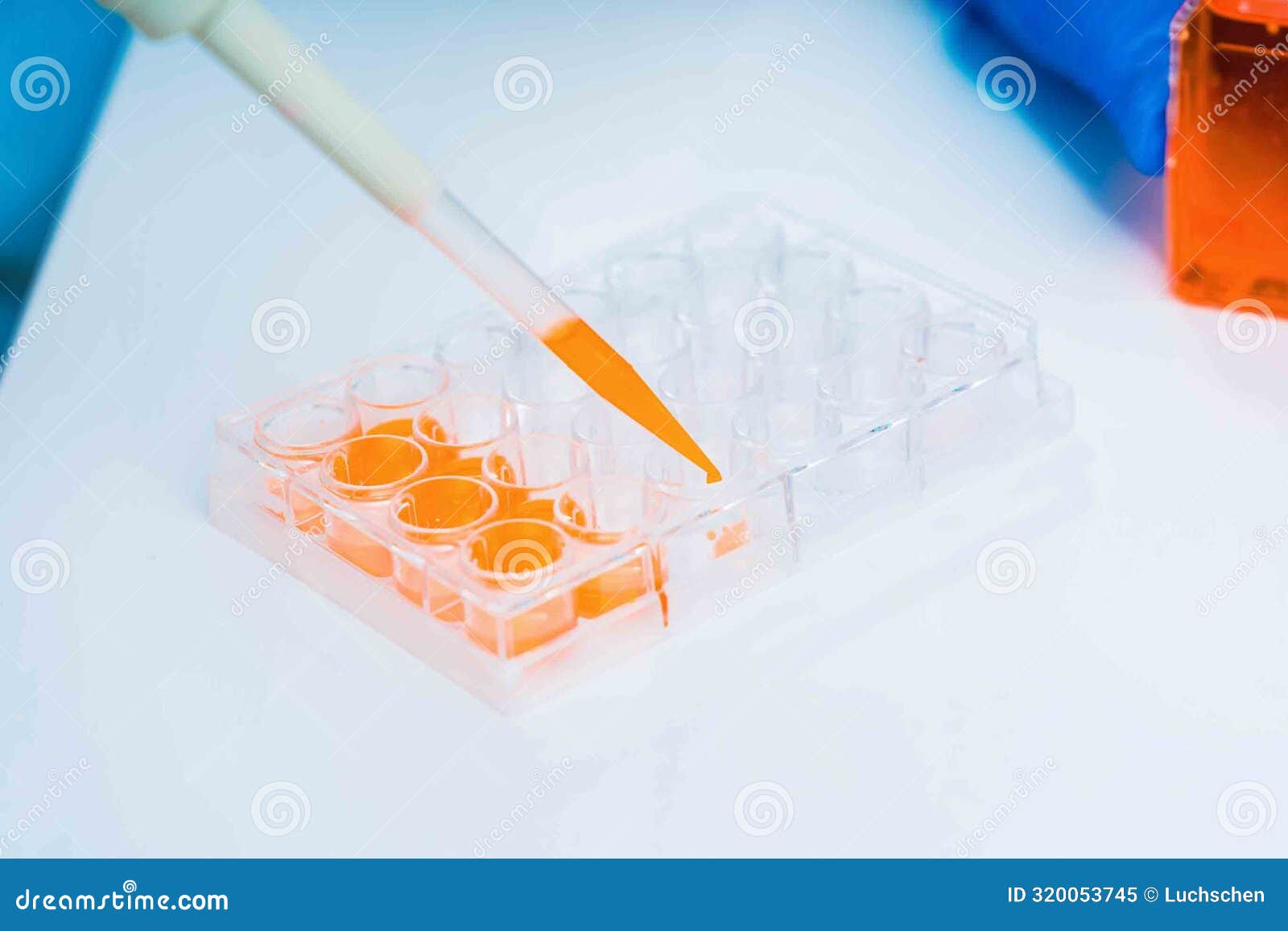 Scientific Experiment in a Medical Laboratory for Research and Analysis ...