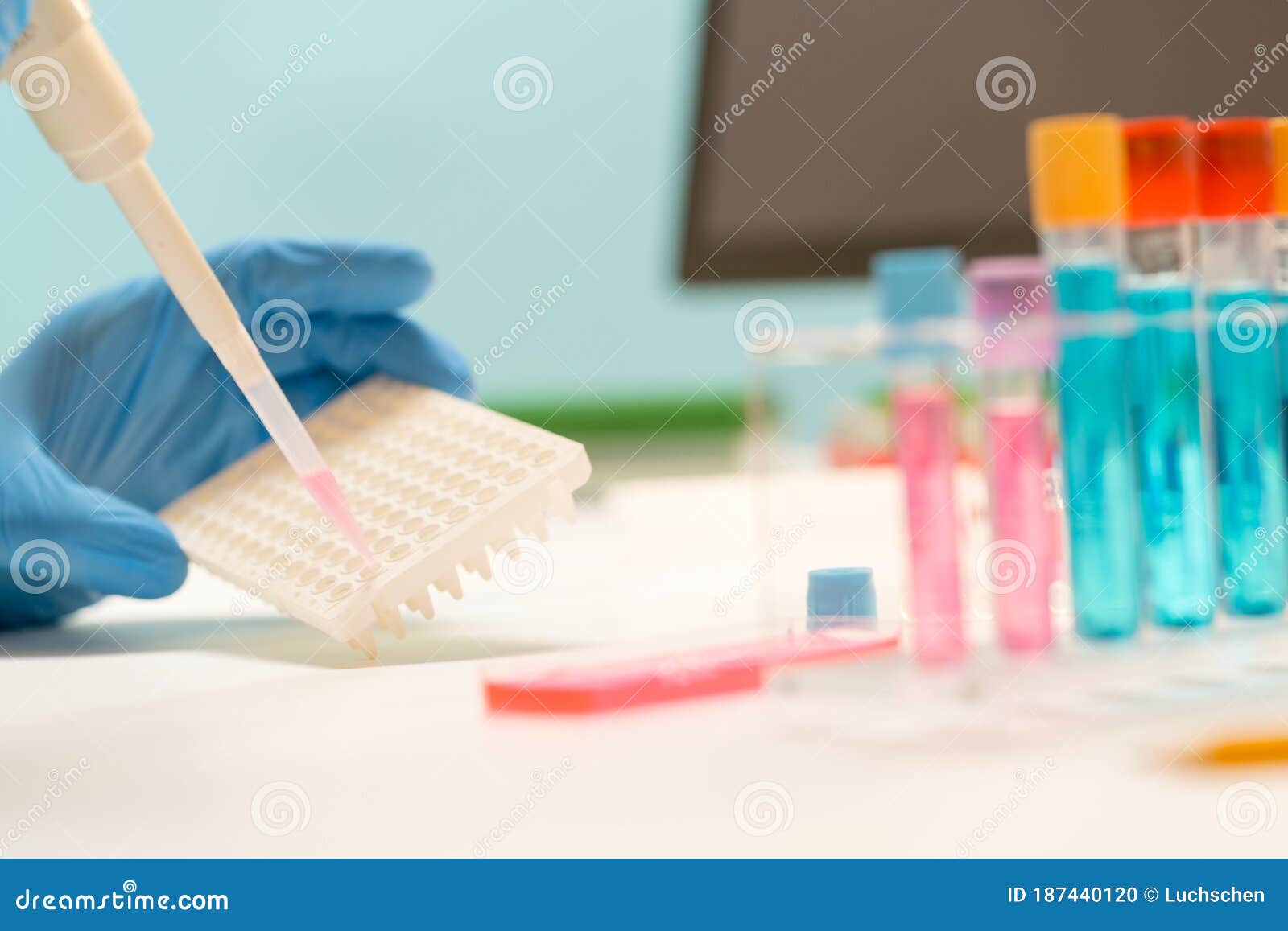 Scientific Experiment in Microbiological Lab. Microscope and Test Tube ...