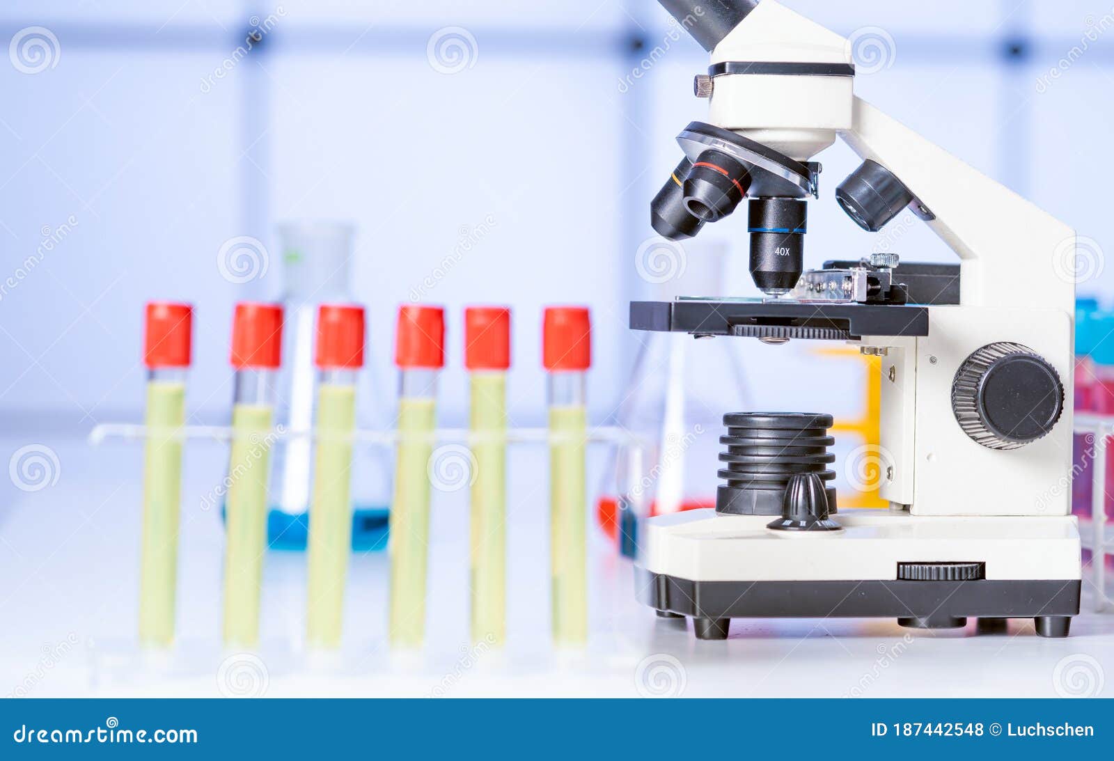 Scientific Experiment in School Class. Microscope and Test Tubes on the ...