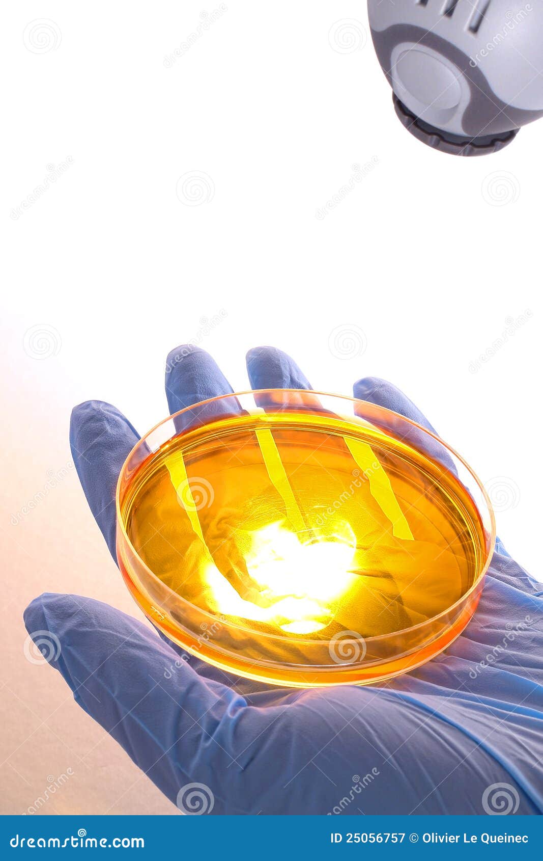 Scientific Experiment in Science Research Lab Stock Image - Image of ...