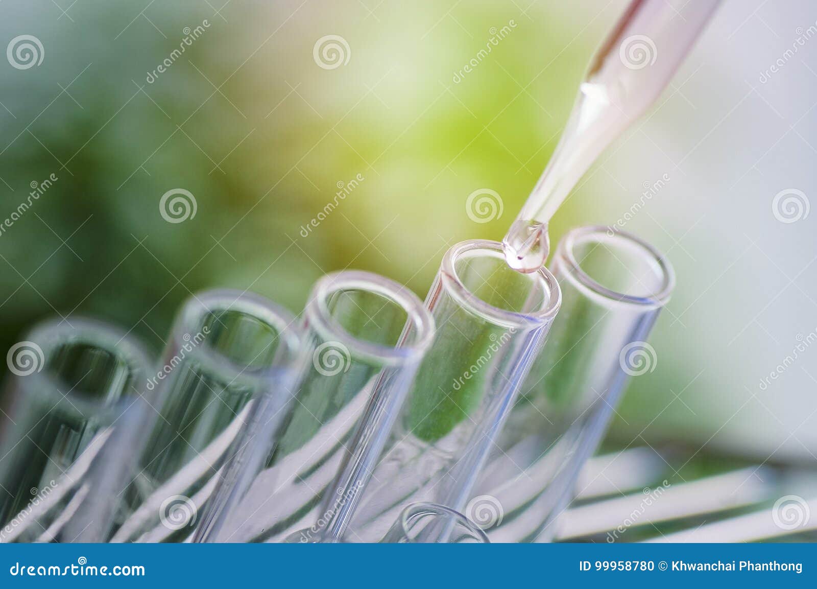 Scientific Experiments, Laboratory Equipment and Test Tubes Stock Photo ...