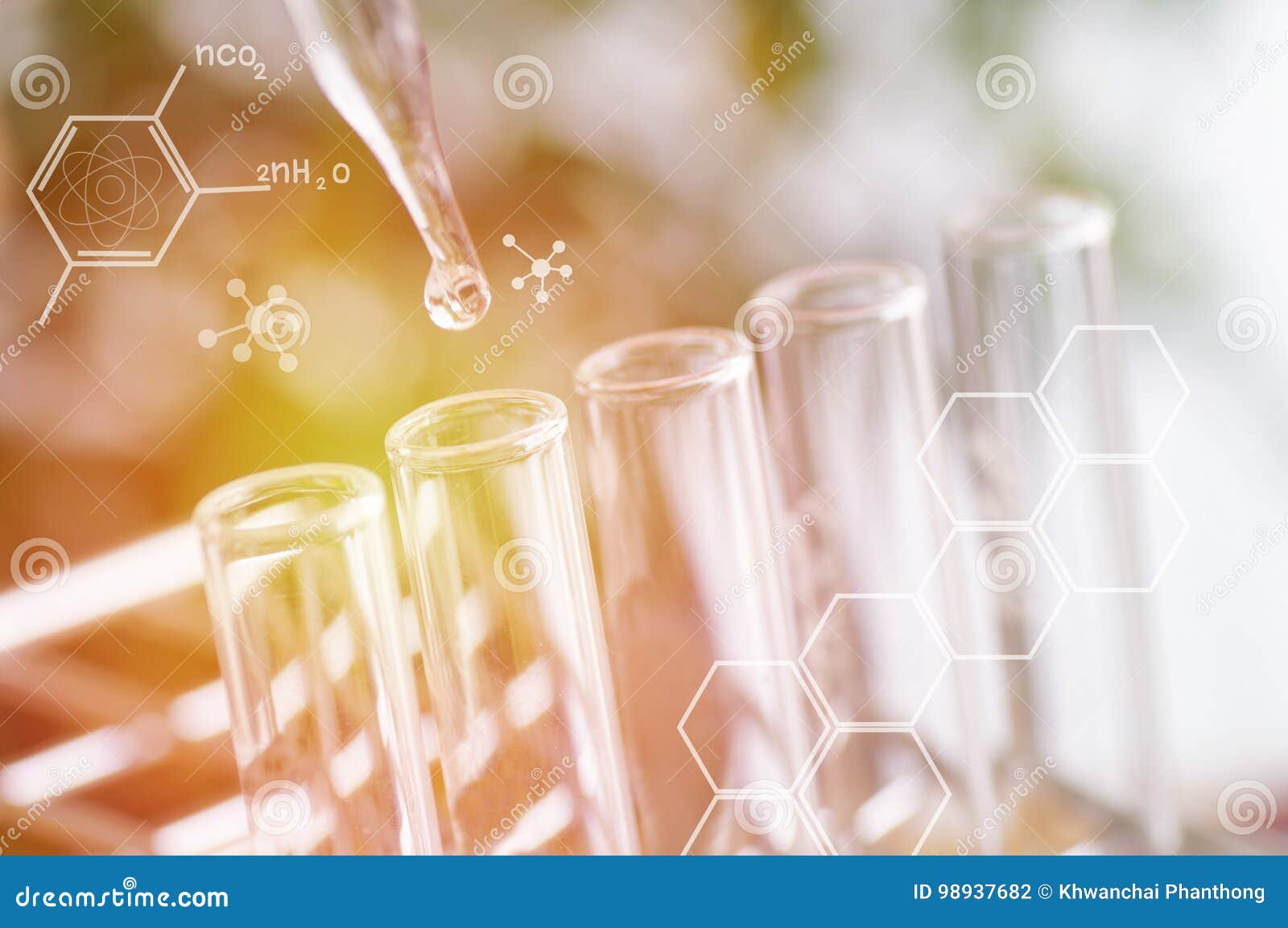 Scientific Experiments, Laboratory Stock Photo - Image of experiments ...