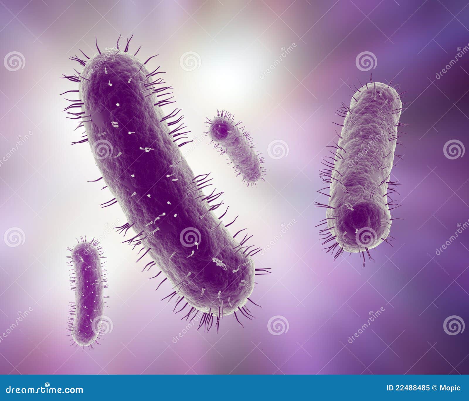 Scientific Illustration of Bacteria Stock Image - Image of bacterium ...