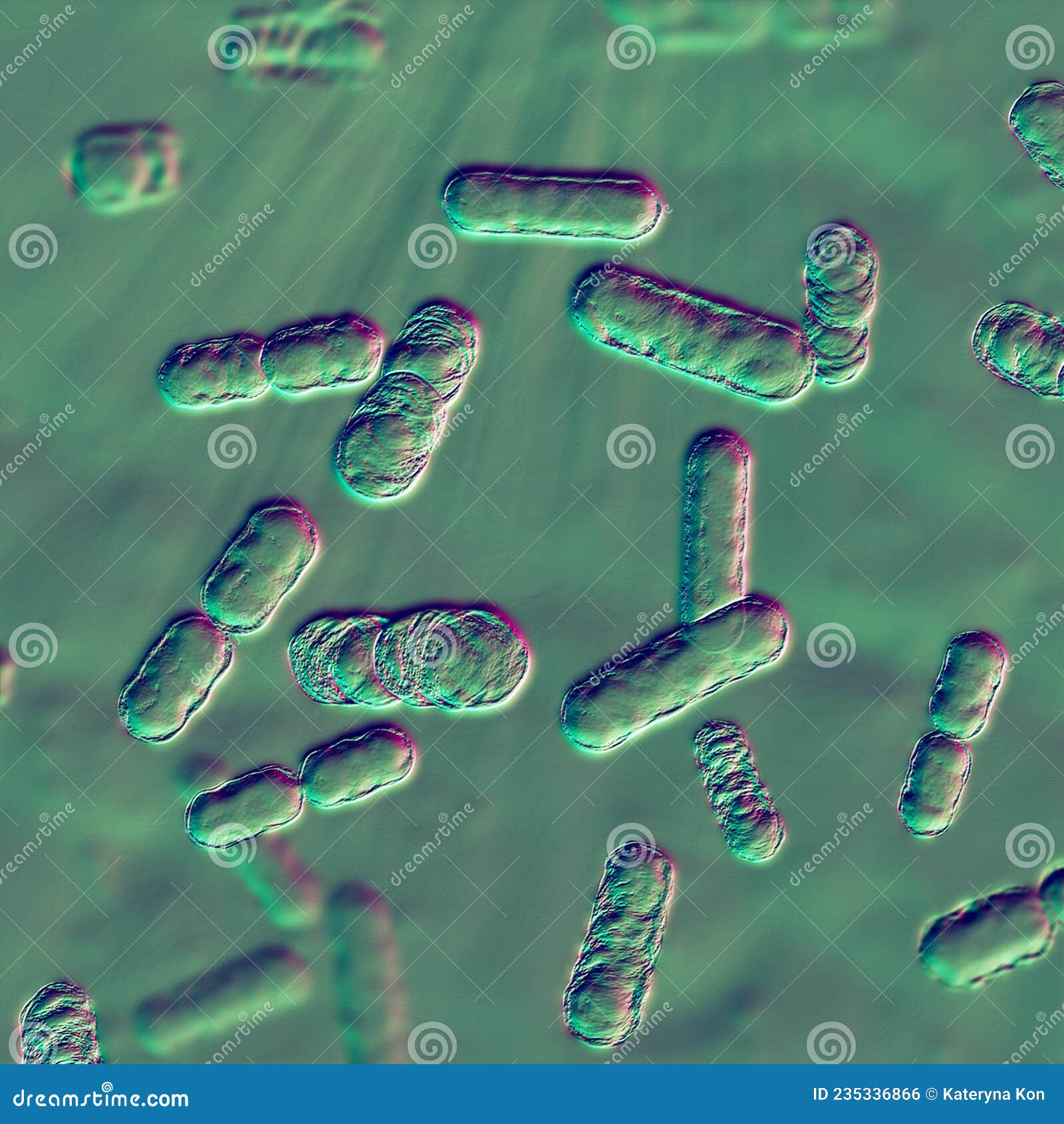 Bacteria Bacteroides, 3D Illustration Stock Illustration - Illustration ...