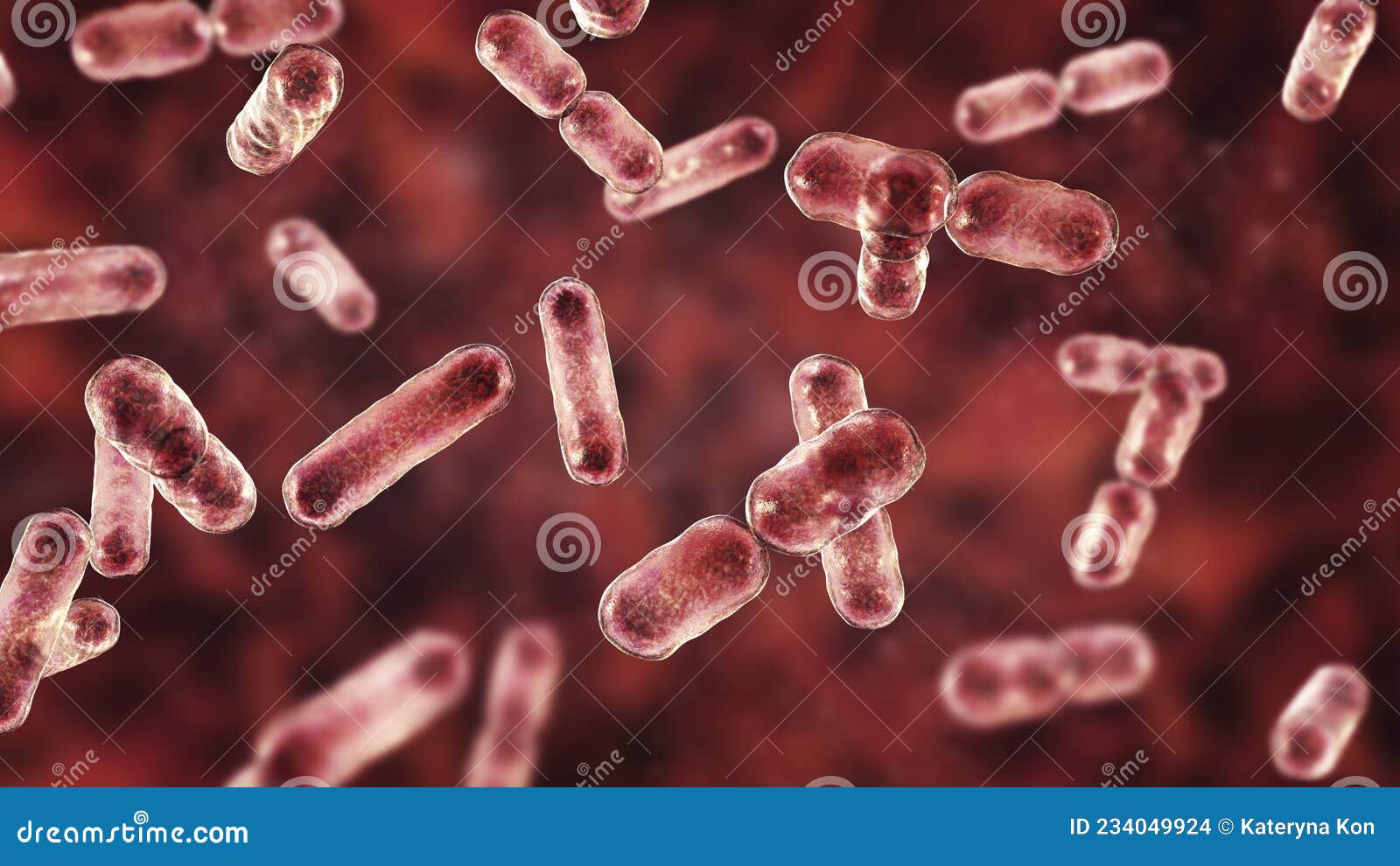 Bacteria Bacteroides, 3D Illustration Stock Illustration - Illustration ...