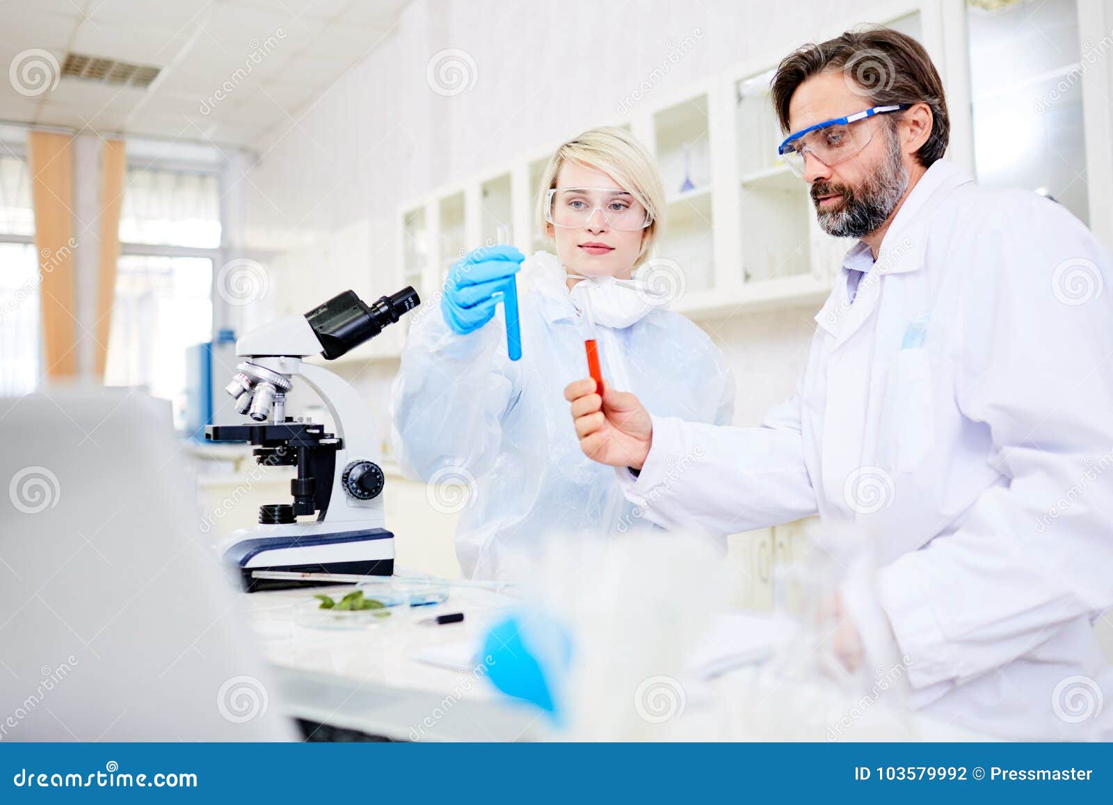 Compare research stock photo. Image of protective, biology - 103579992