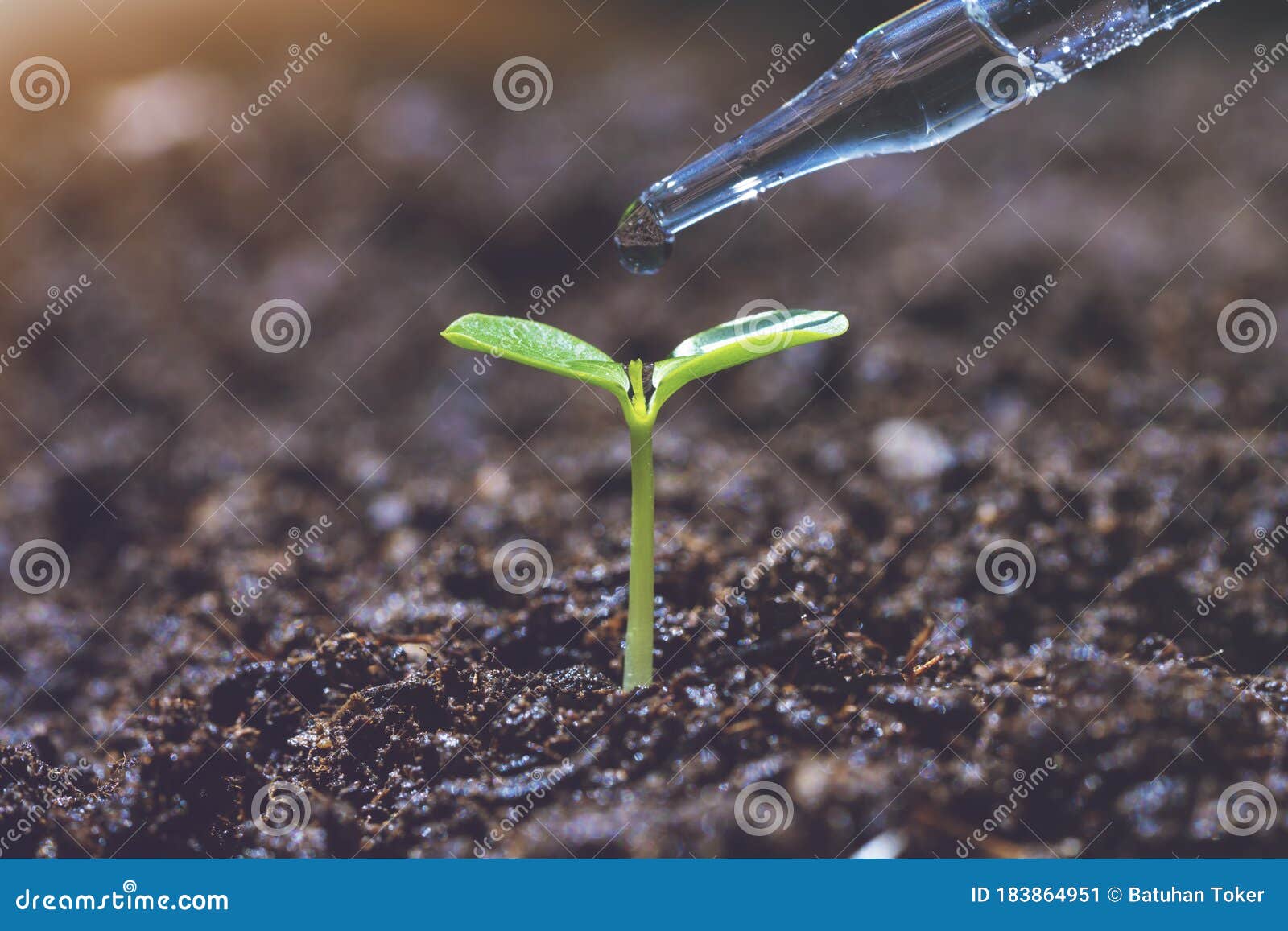 Scientific Irrigation Method and Agriculture Concept Stock Image ...