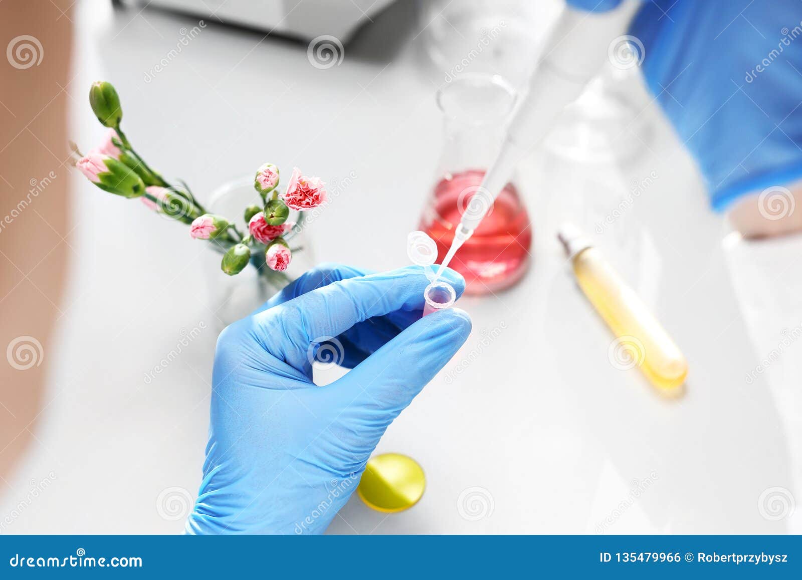 Genetic flower crossover. stock photo. Image of medical - 135479966