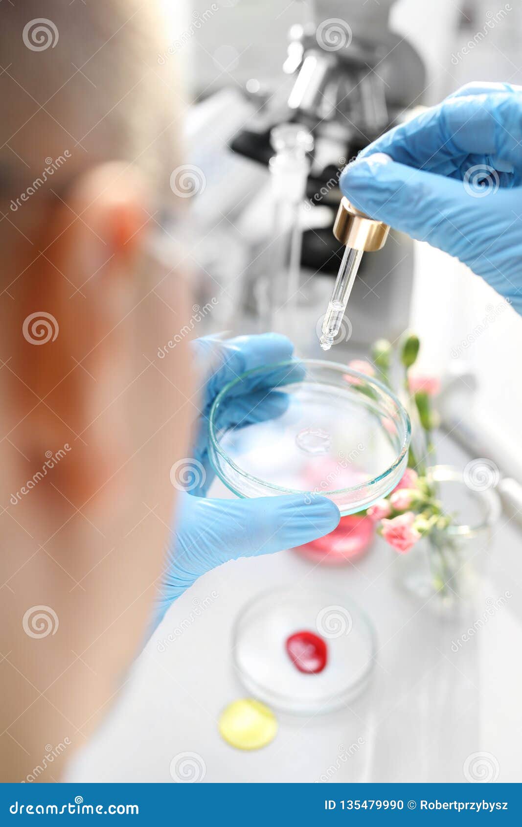 In Vitro Plants. Laboratory Tests. Stock Photo - Image of agriculture ...