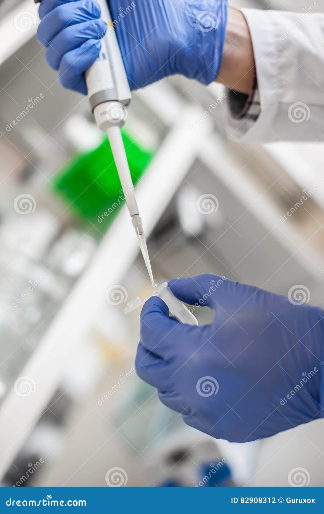 Scientific Laboratory Technician Pipetting. Macro Shot Stock Photo ...