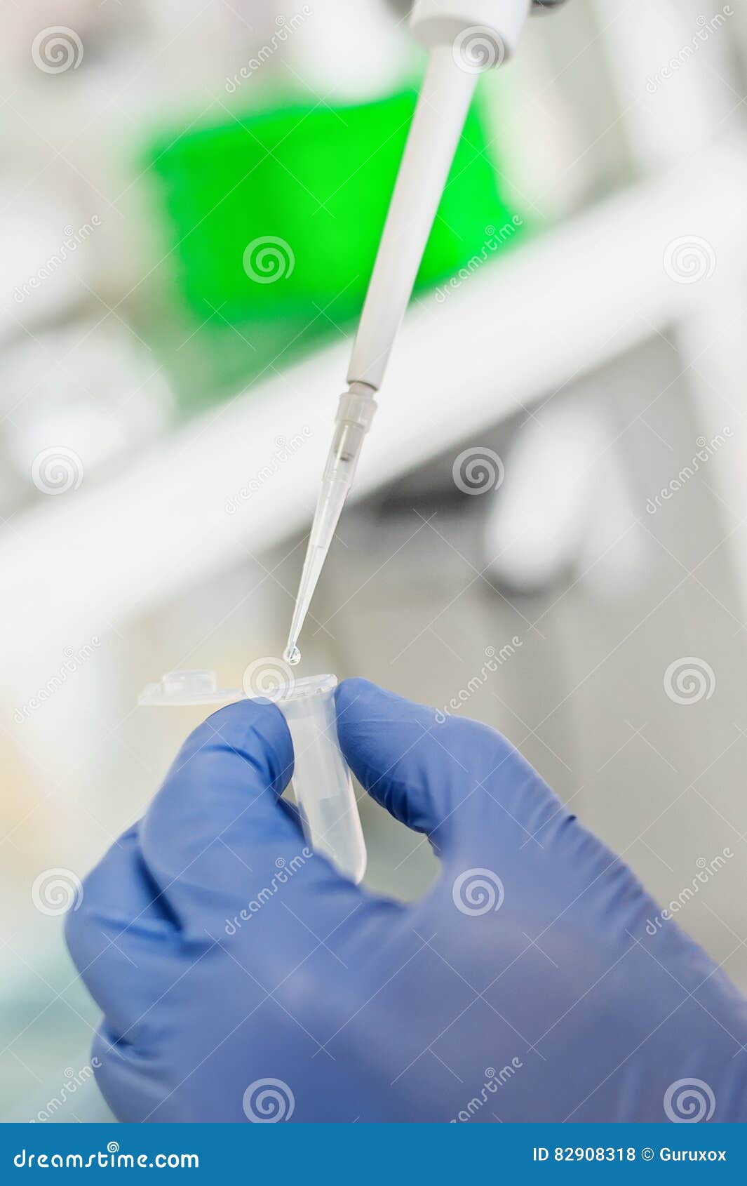 Scientific Laboratory Technician Pipetting. Macro Shot Stock Photo ...