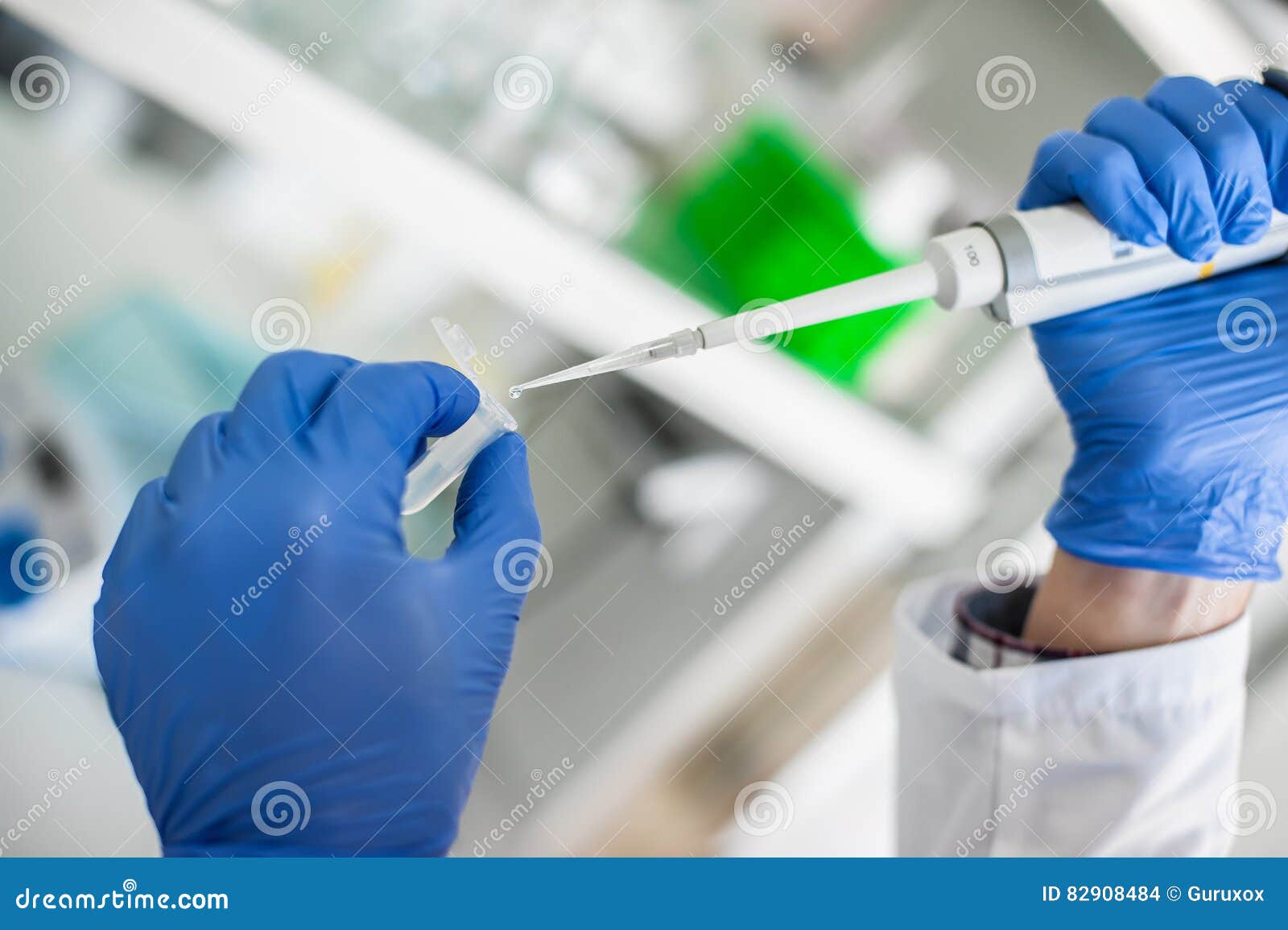 Scientific Laboratory Technician Pipetting. Macro Shot Stock Photo ...