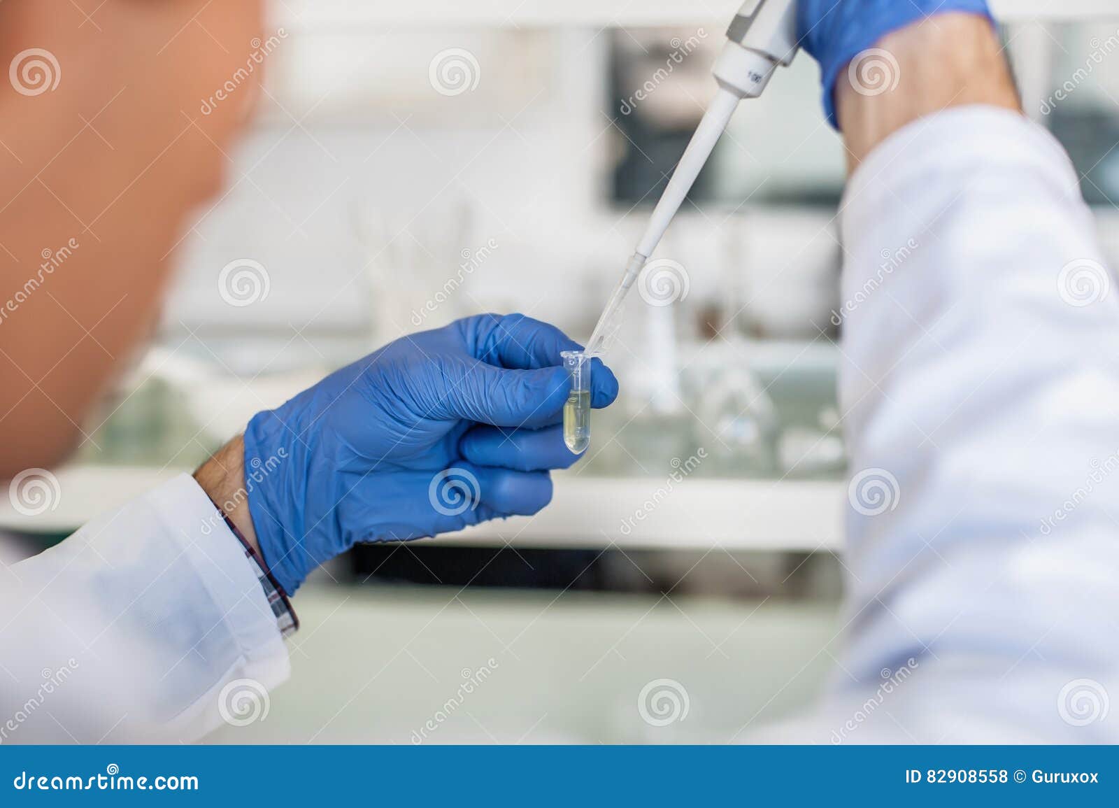 Scientific Laboratory Technician Pipetting. Macro Shot Stock Photo ...