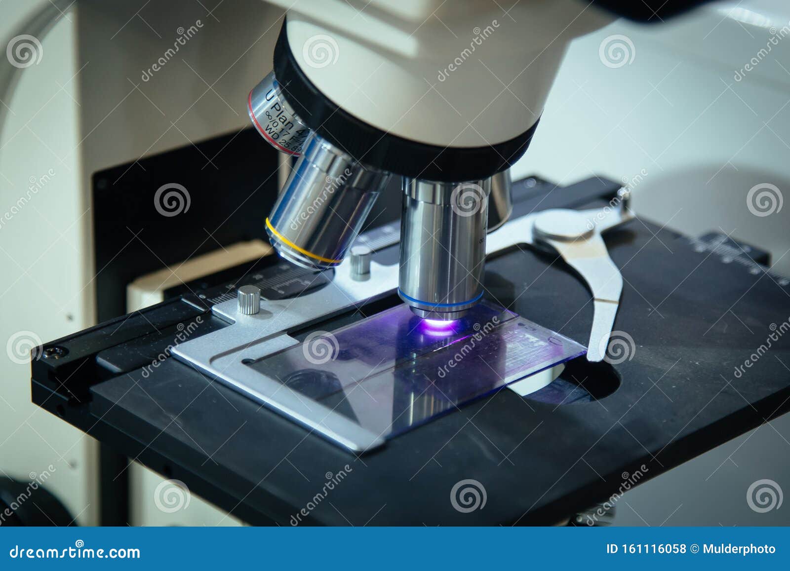 Scientific or Medical Test Sample Under Light Microscope in Laboratory ...