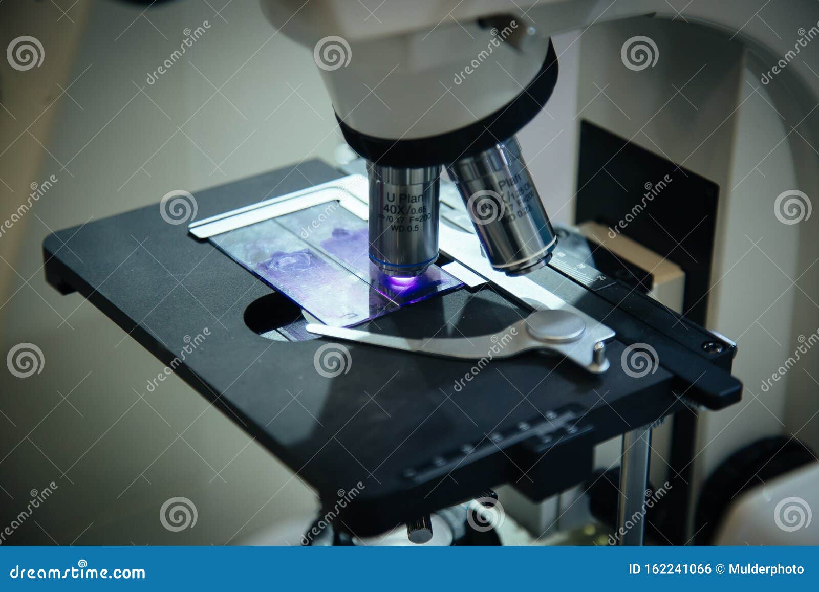 Scientific or Medical Test Sample Under Light Microscope in Laboratory ...