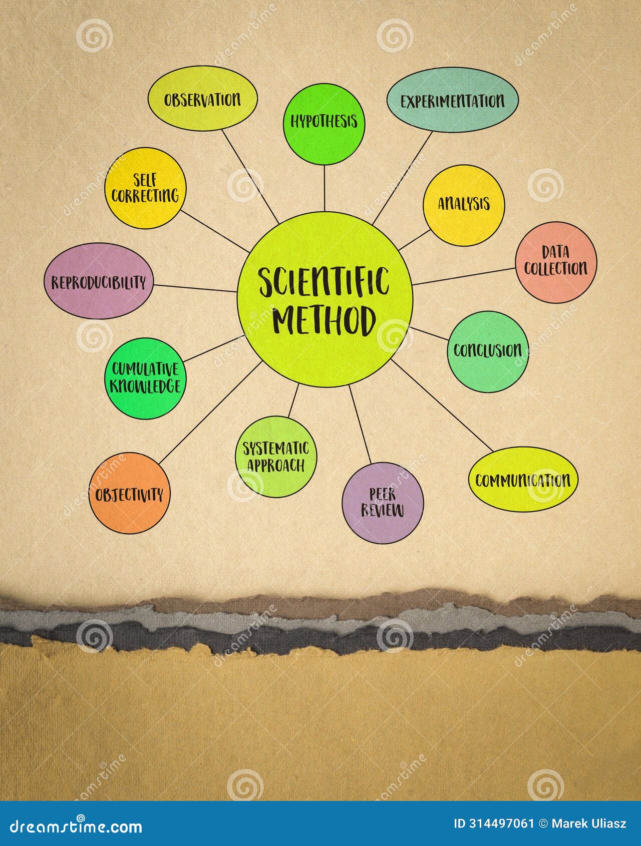 Scientific Method Infographics or Mind Map on Art Paper, Science and ...