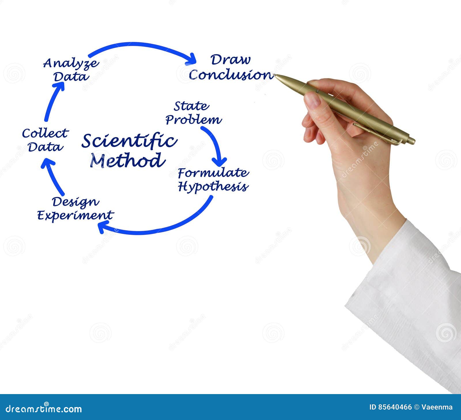 Scientific Conclusion Images