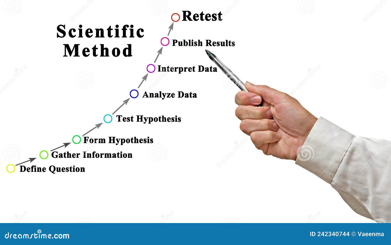 Scientific Method stock photo. Image of scientific, 2246 - 242340744