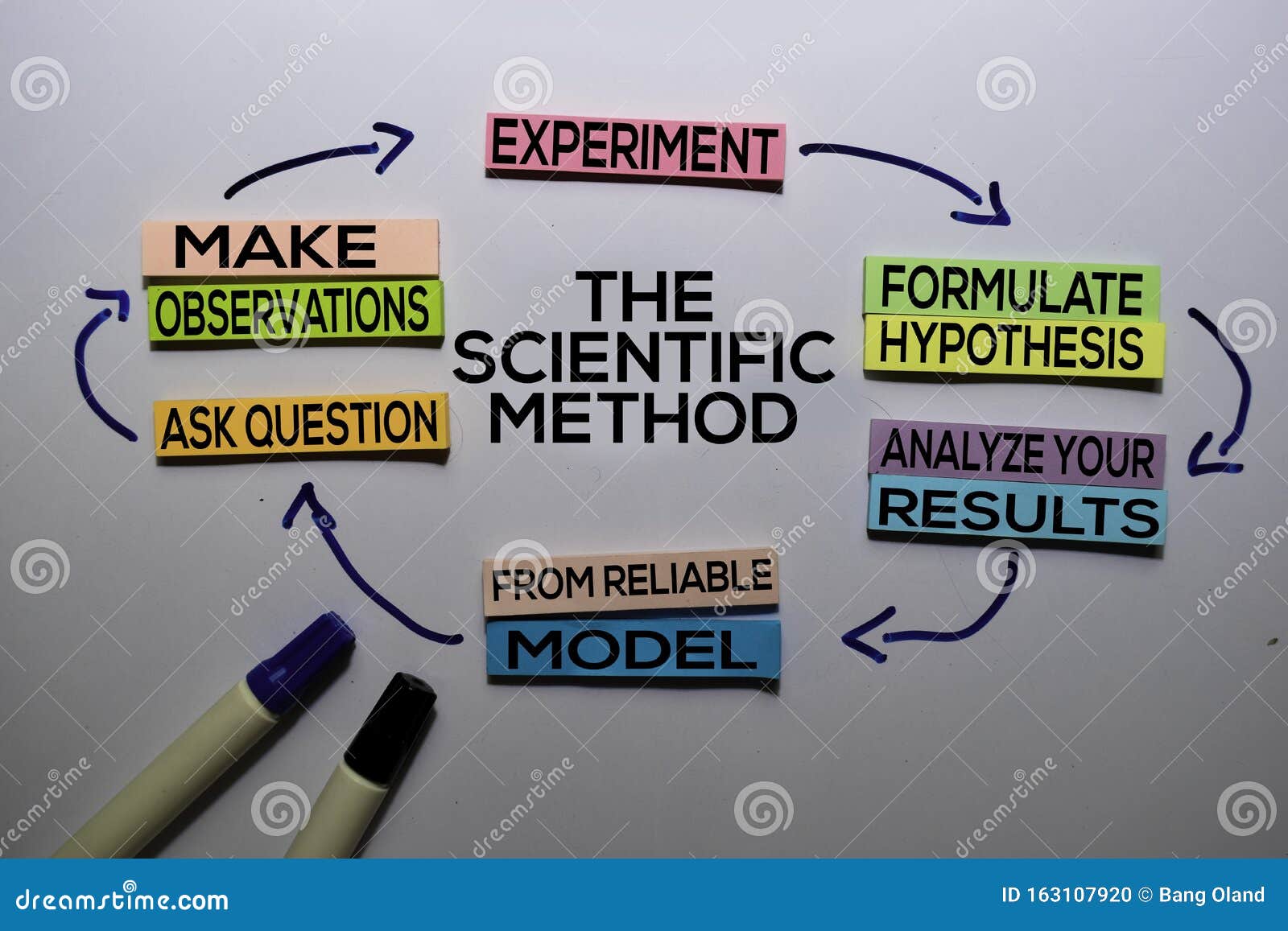 Scientific Method Steps Royalty-Free Stock Photo | CartoonDealer.com ...