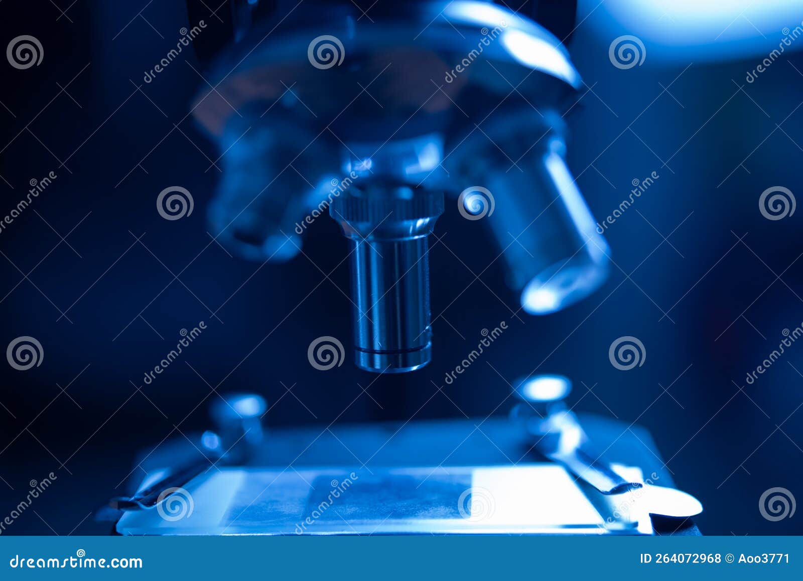 Scientific Microscope Data Analysis in the Metal Lens at Laboratory ...
