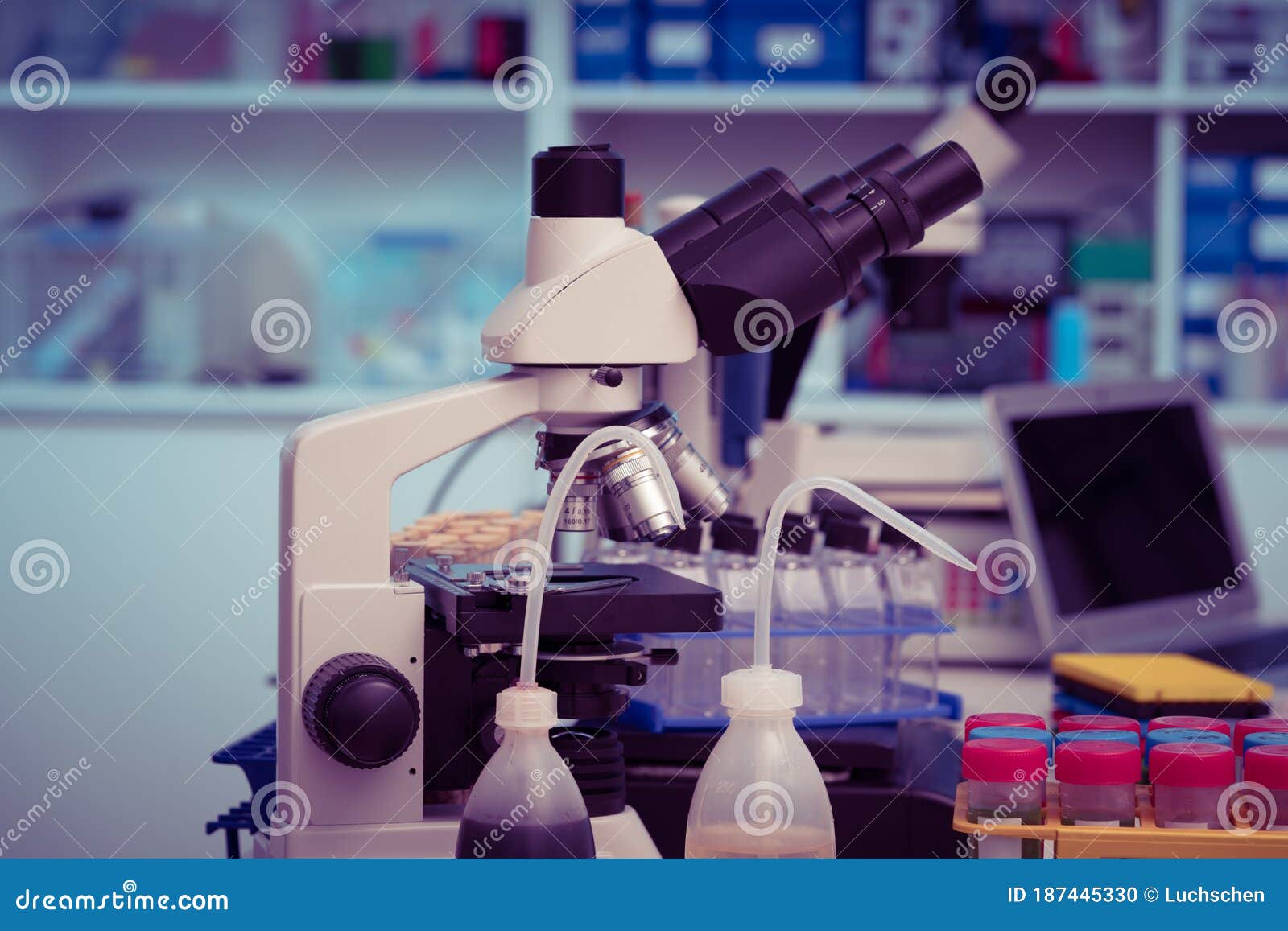Scientific Microscope in the Laboratory of Forensics Stock Photo ...