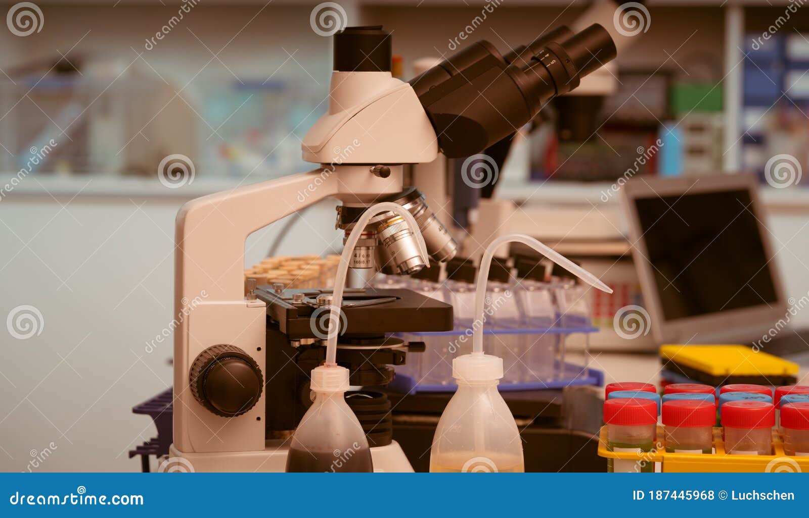 Scientific Microscope in the Laboratory of Forensics Stock Photo ...