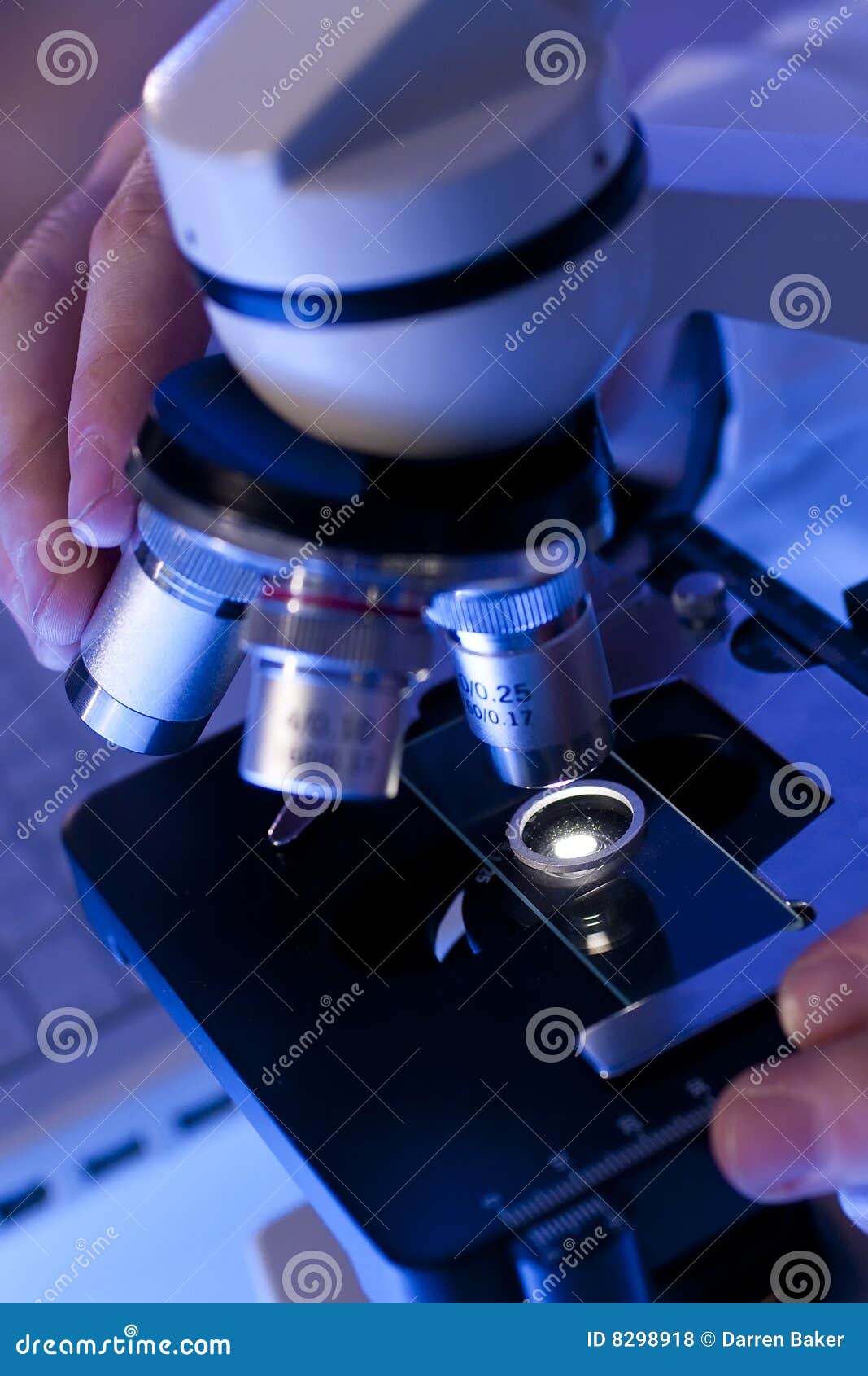 Scientific Research stock photo. Image of research, scientific - 8298918