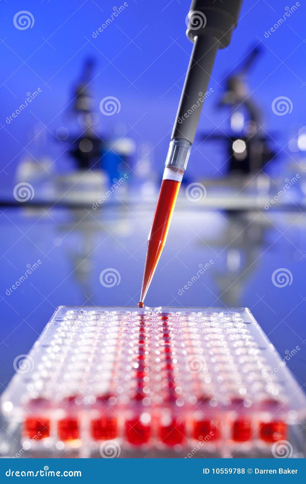 Scientific Research with Pipette & Cell Plate Stock Photo - Image of ...
