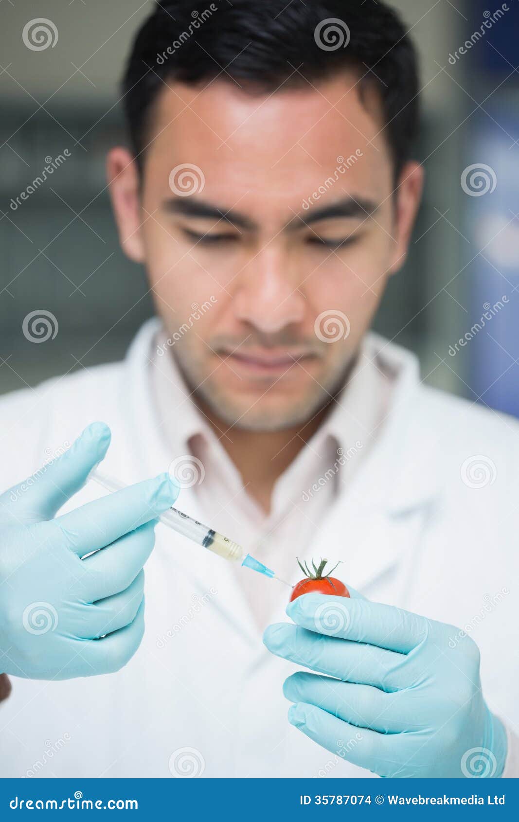 Scientific Researcher Injecting a Tomato at the Lab Stock Photo - Image ...