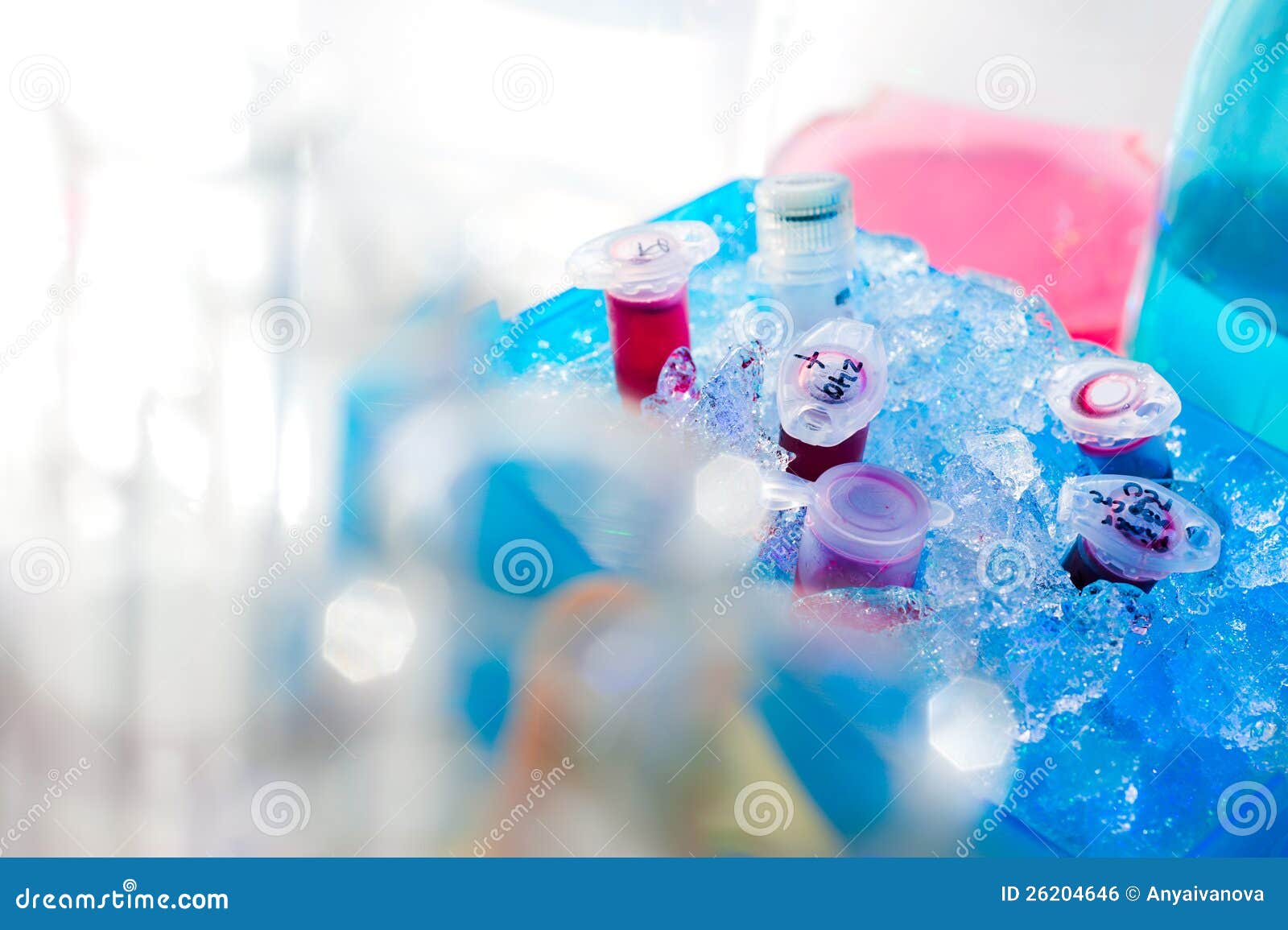 Scientific samples on ice stock photo. Image of research - 26204646