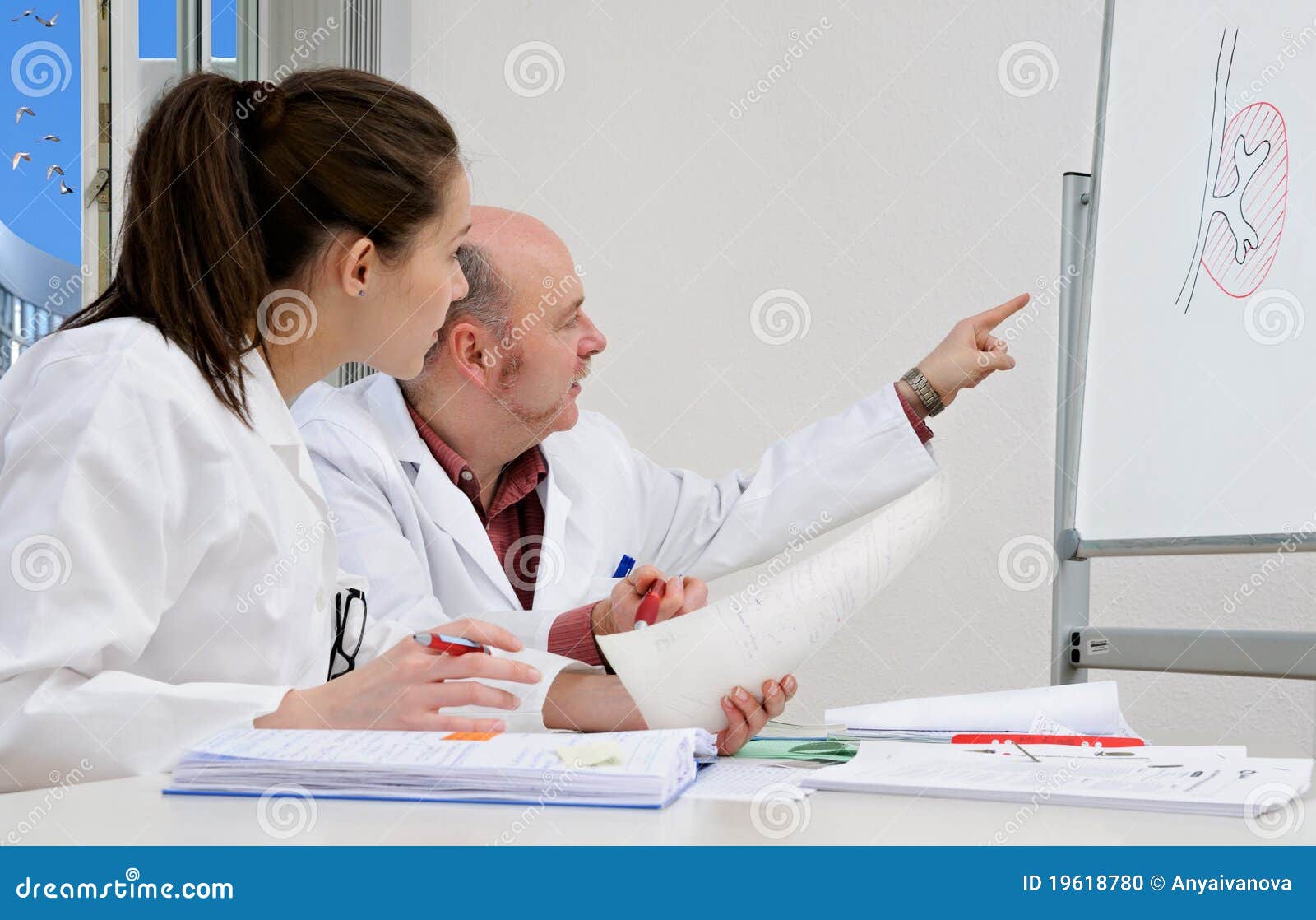 Scientific seminar stock photo. Image of female, gown - 19618780