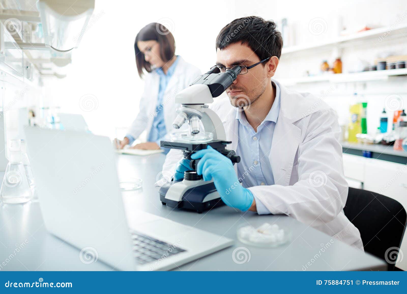 Scientific study stock image. Image of microbiology, laboratory - 75884751