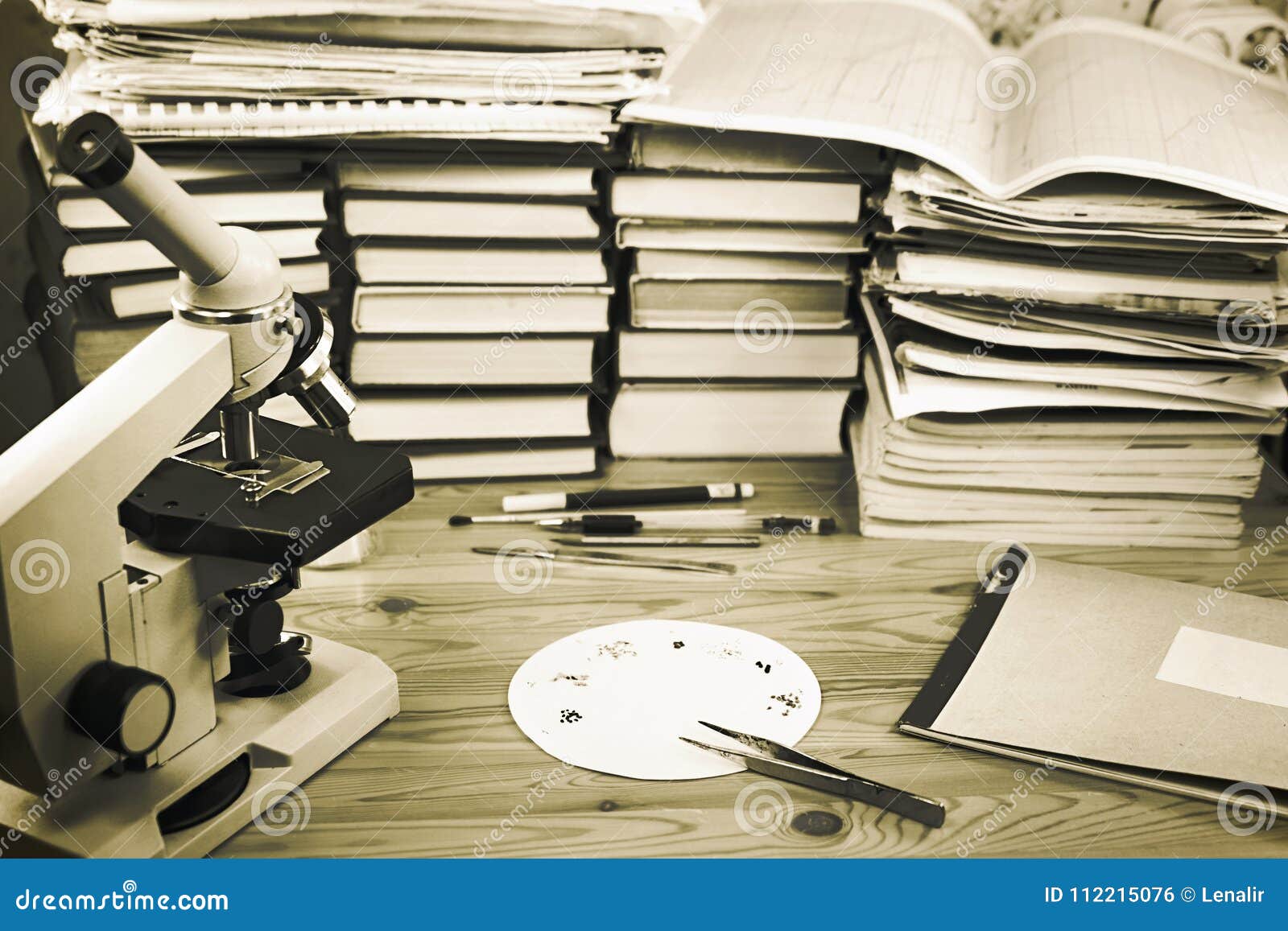 Scientific Study with the Many Books and Papers Stock Photo - Image of ...