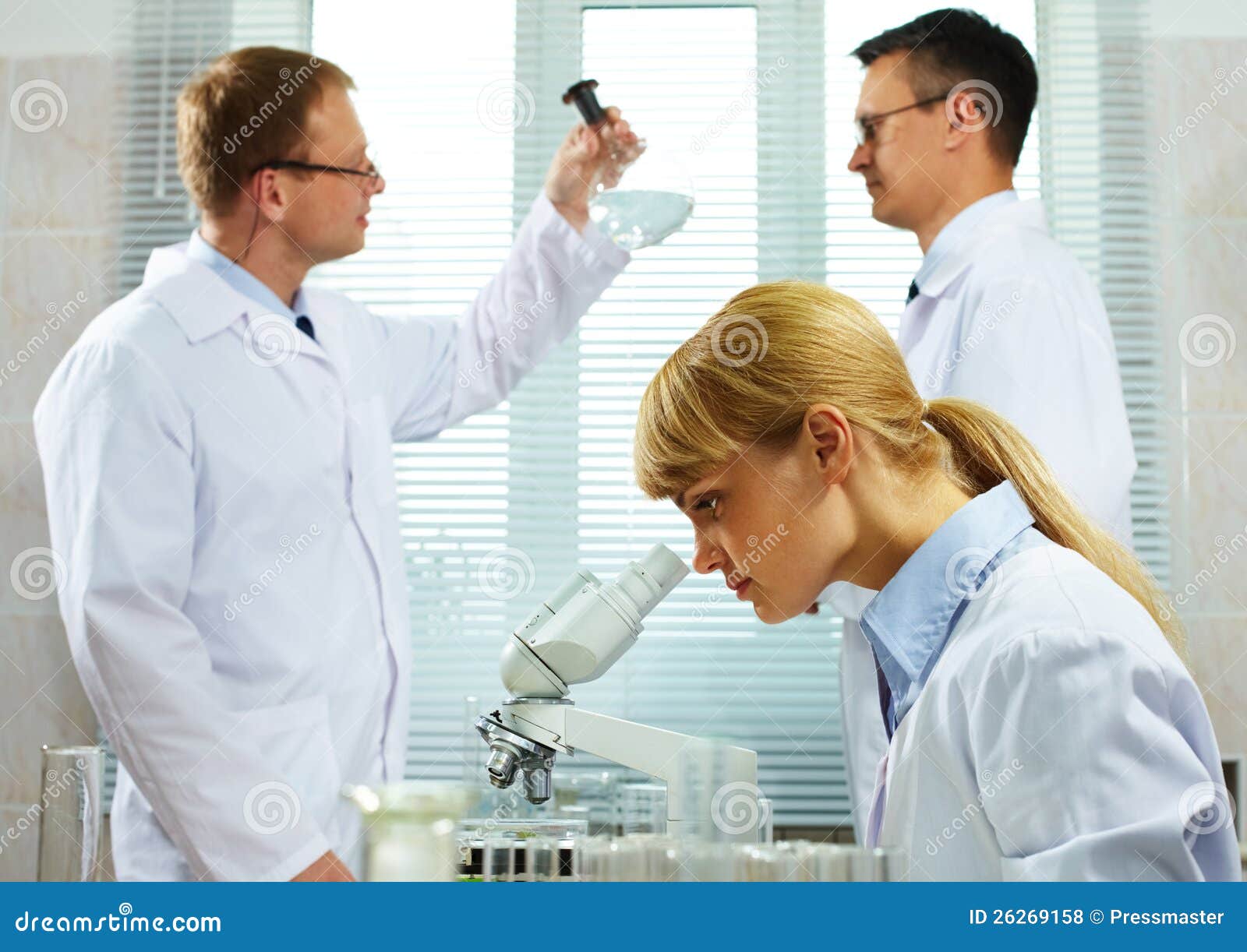 Scientific team stock photo. Image of biotech, indoors - 26269158