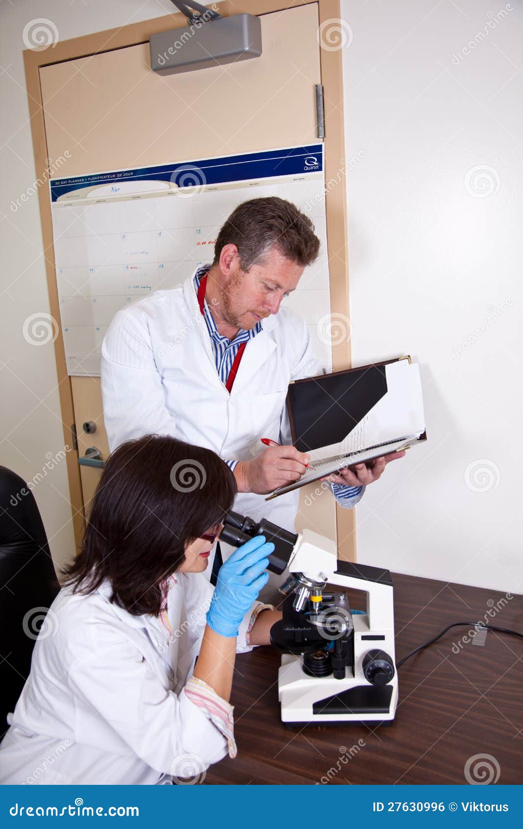 Scientific Team Performs Research Stock Photo - Image of women, biology ...