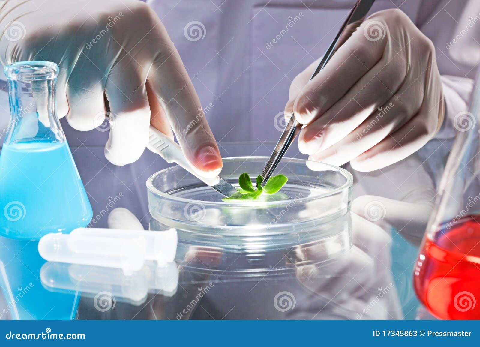 Scientific work stock image. Image of male, blue, experiment - 17345863