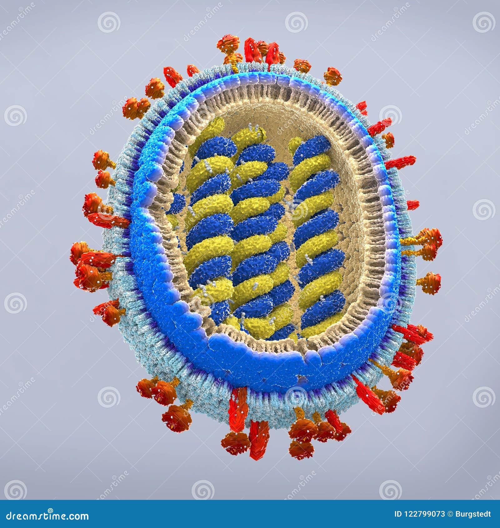 Scientifically Correct Representation of a Flu Pathogen in Cross ...